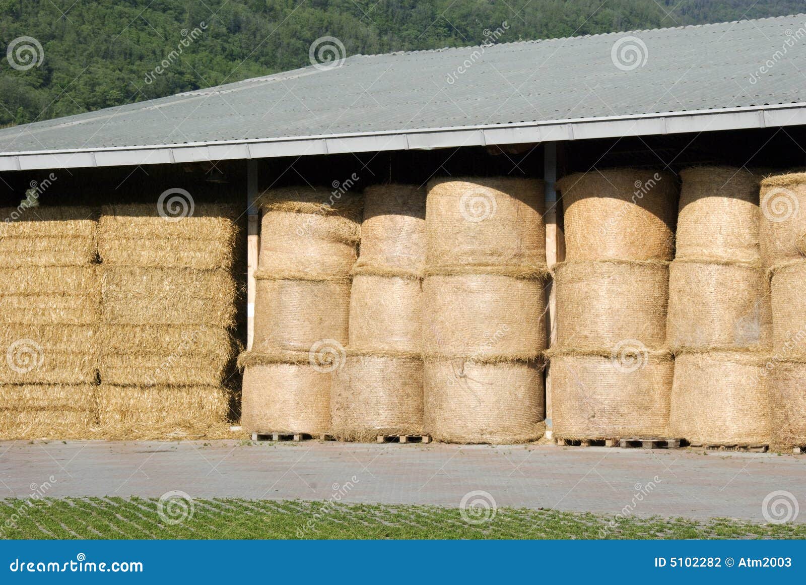 Hay bales stock photo. Image of golden, farming, harvest - 5102282