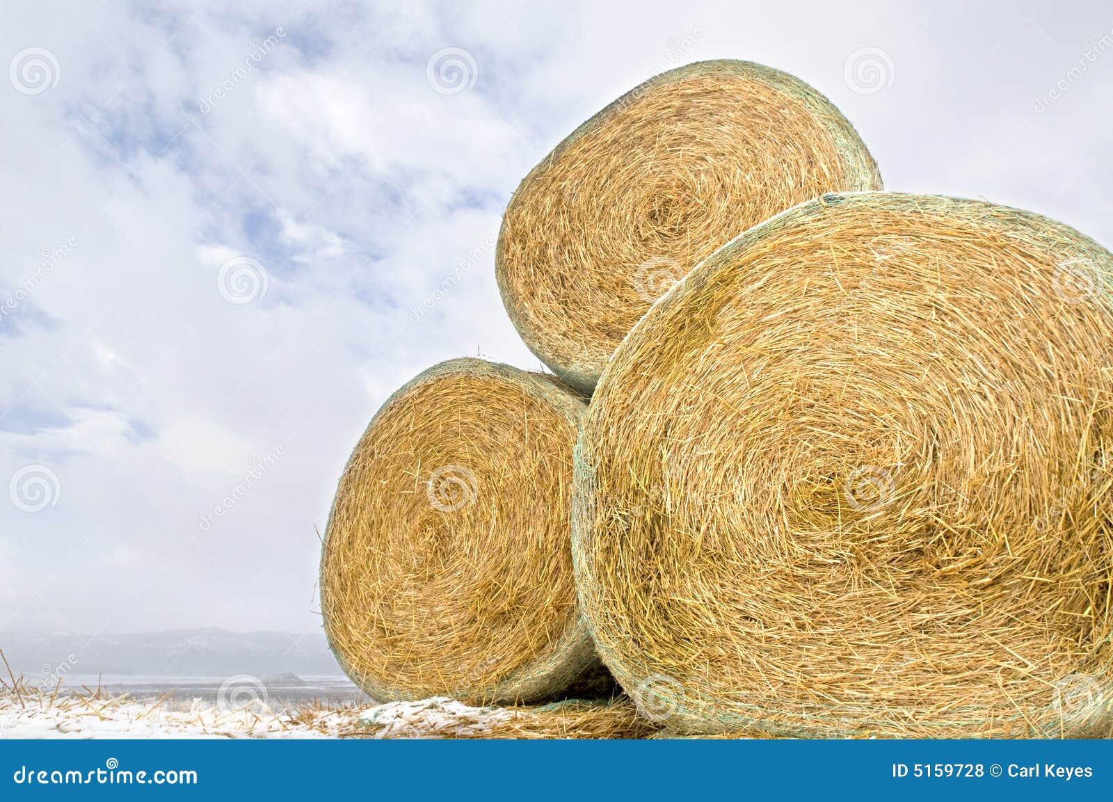 Hay bales stock photo. Image of season, straw, winter - 5159728
