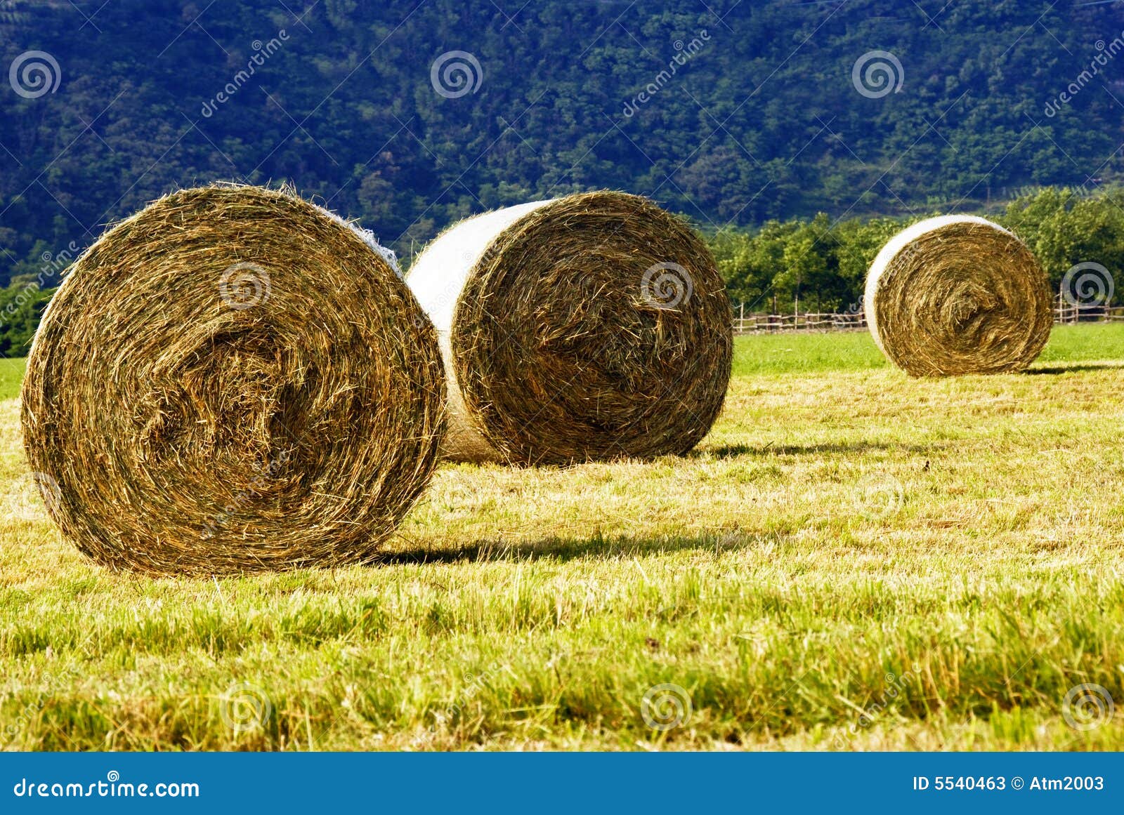 Hay bales stock image. Image of golden, landscape, yellow - 5540463