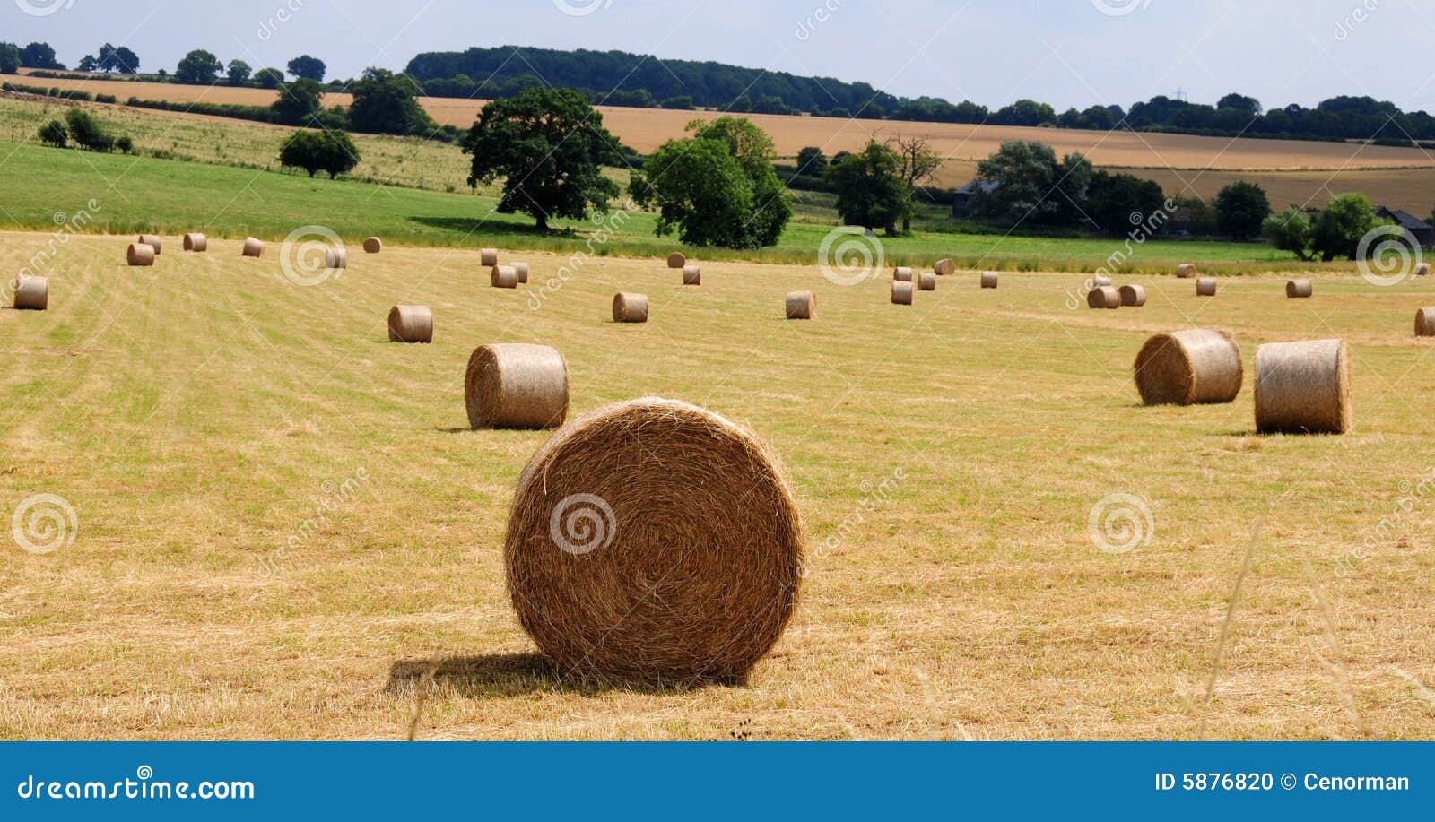 Hay bales stock photo. Image of agriculture, scene, circles - 5876820