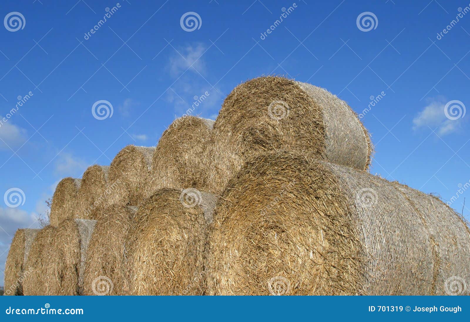 Hay Bales stock image. Image of feed, livestock, farm, food - 701319