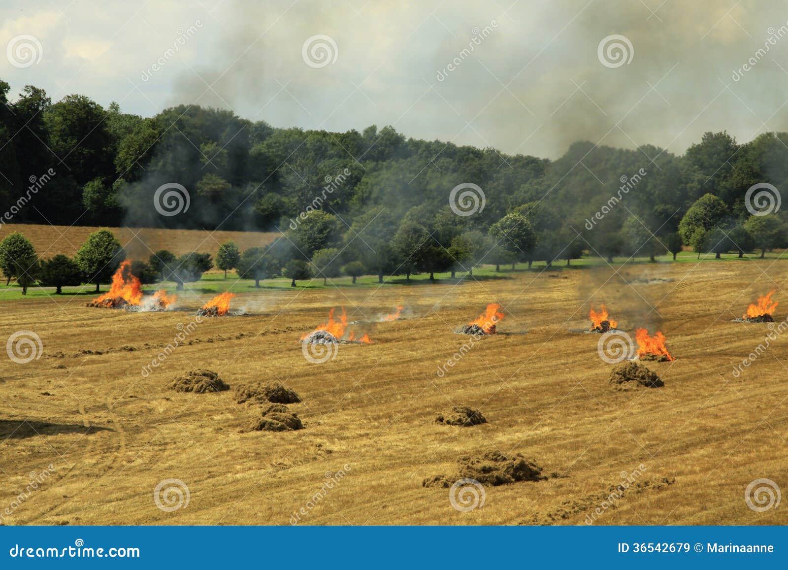 Hay Bales stock image. Image of smoke, bales, burning - 36542679