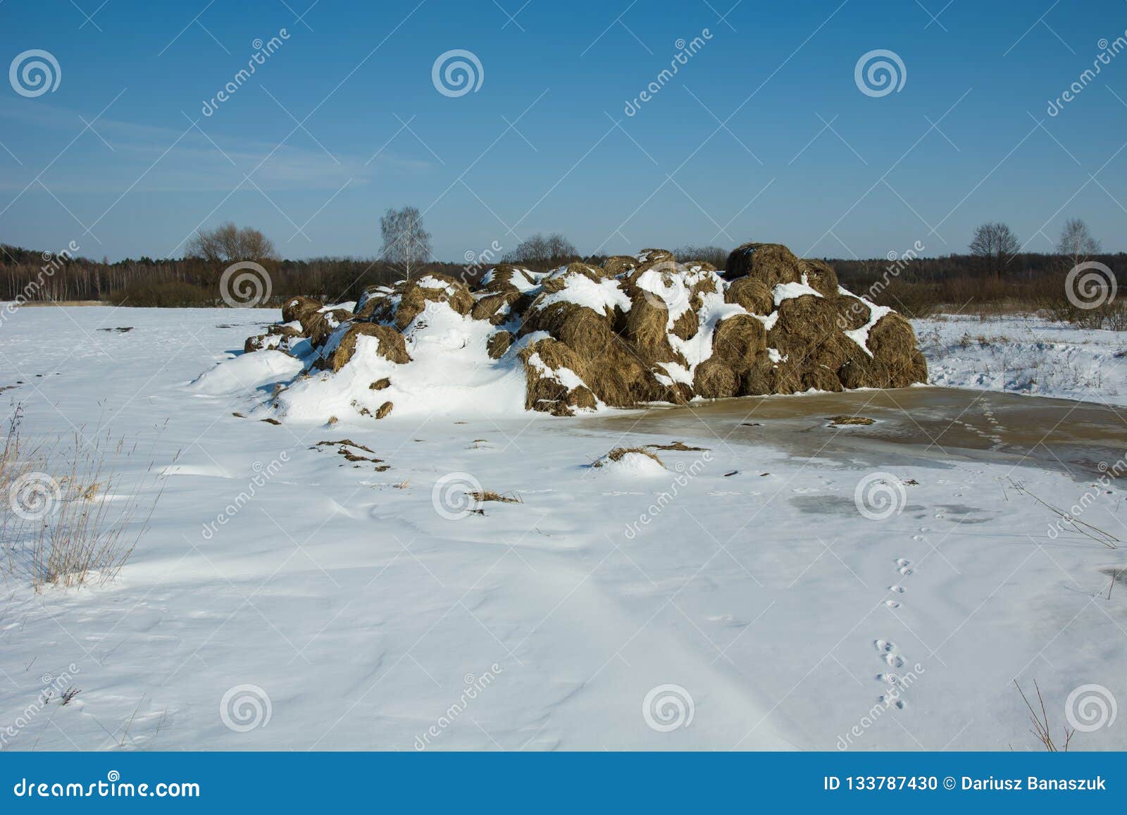 Hay Bales Covered with Snow Stock Photo - Image of outdoor, winter ...