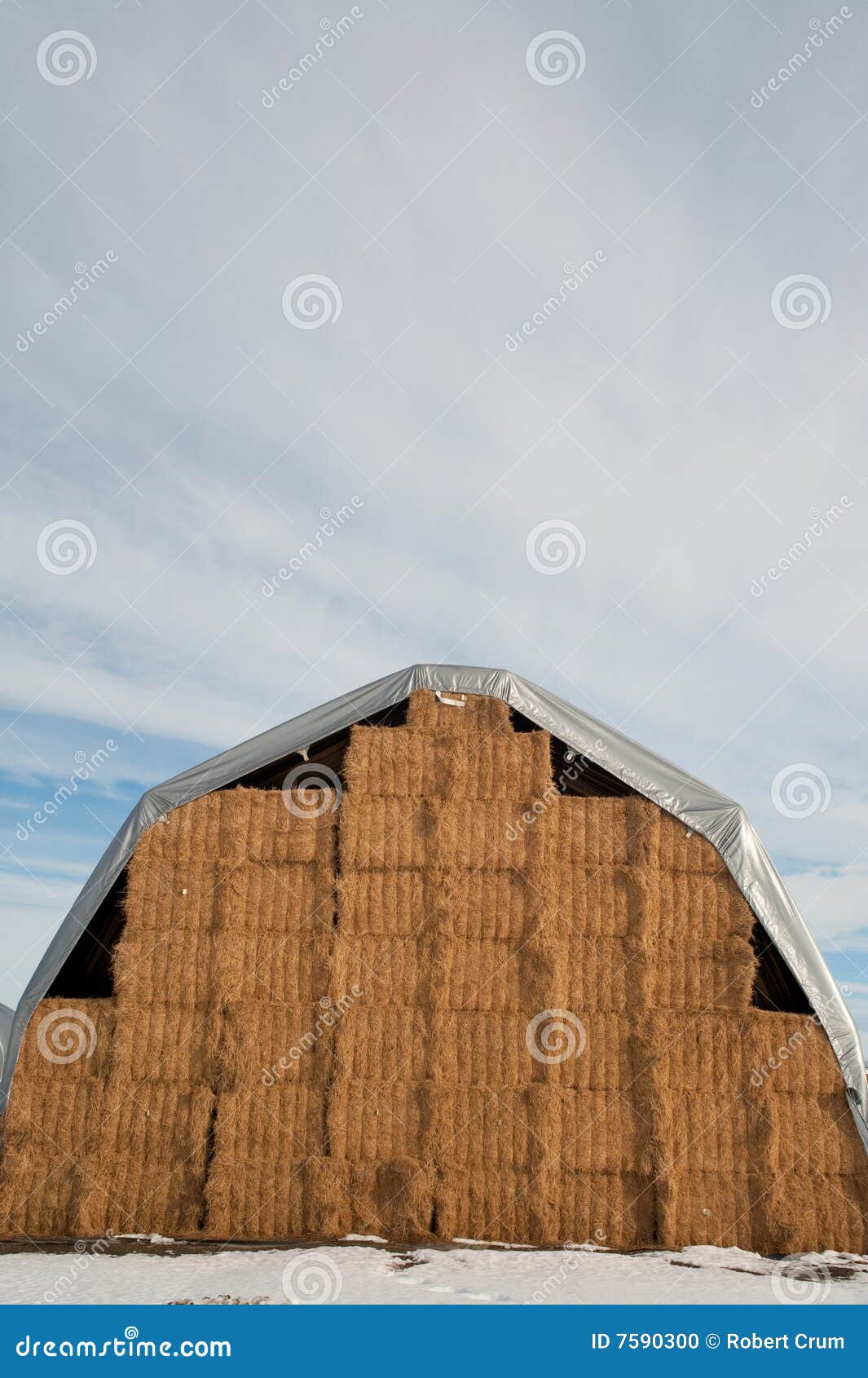 Hay Bales Covered For Storage Stock Photo | CartoonDealer.com #7590300