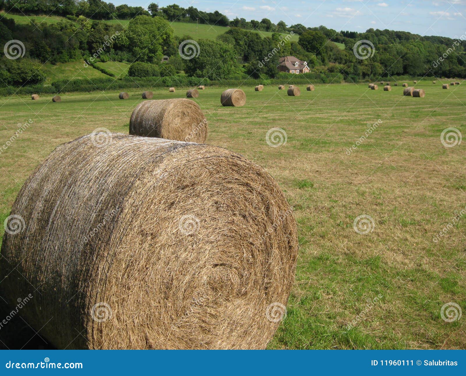 Hay Bales in English Field 1 Stock Image - Image of bales, field: 11960111