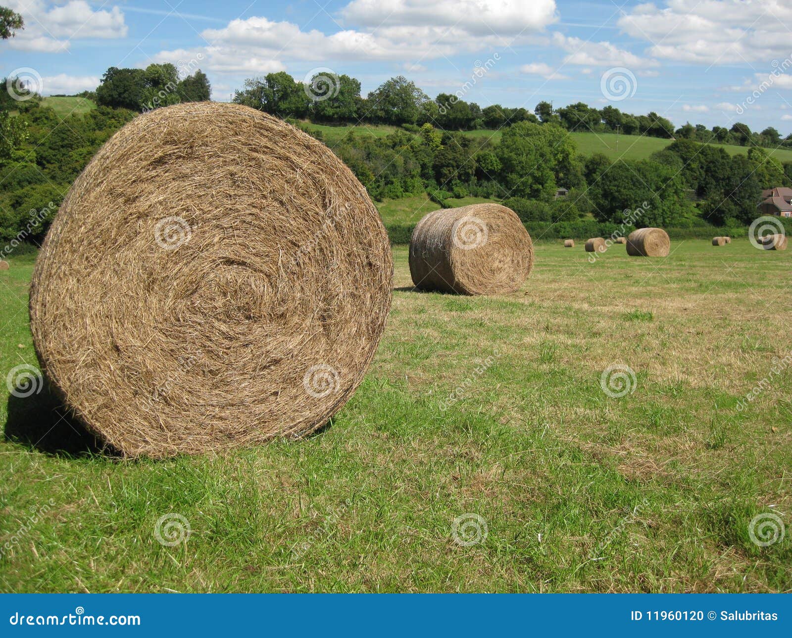 Hay Bales in English Field 2 Stock Photo - Image of summer, bales: 11960120