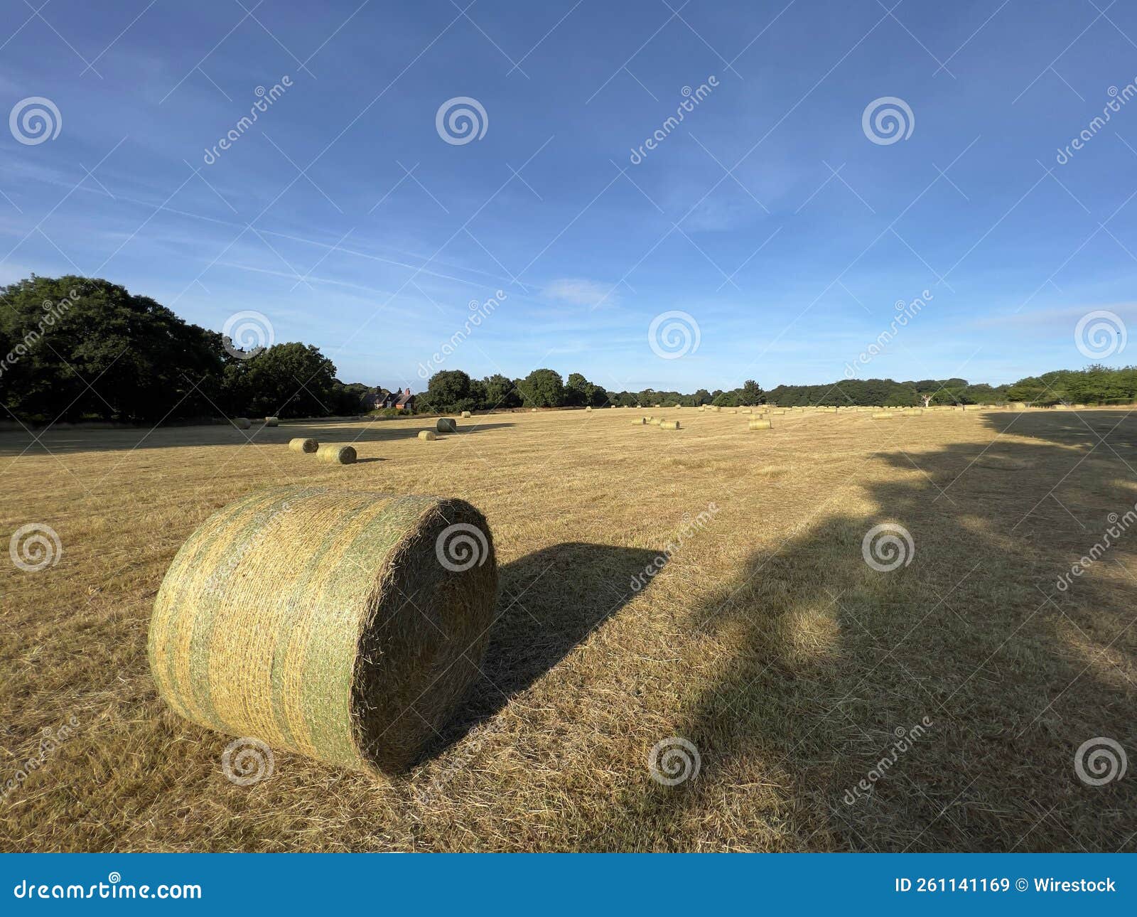 Hay bales in the farm stock image. Image of background - 261141169