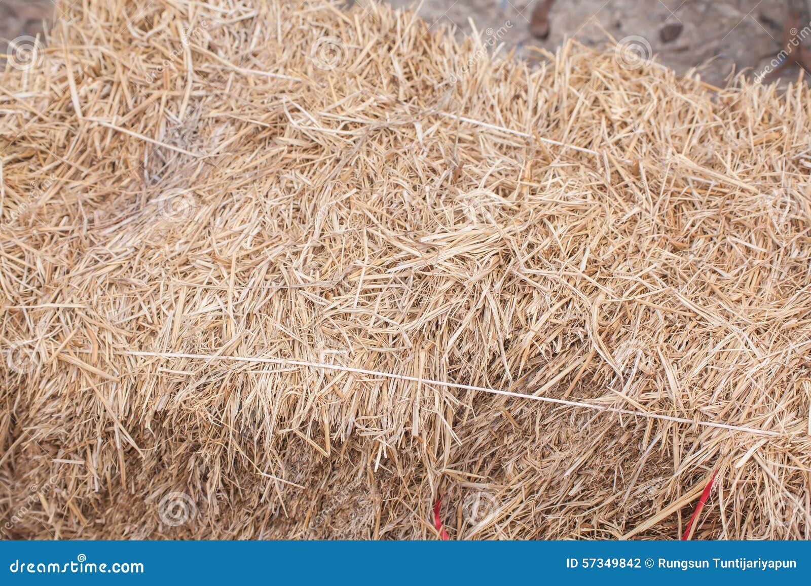 Hay stock photo. Image of stem, golden, country, texture - 57349842