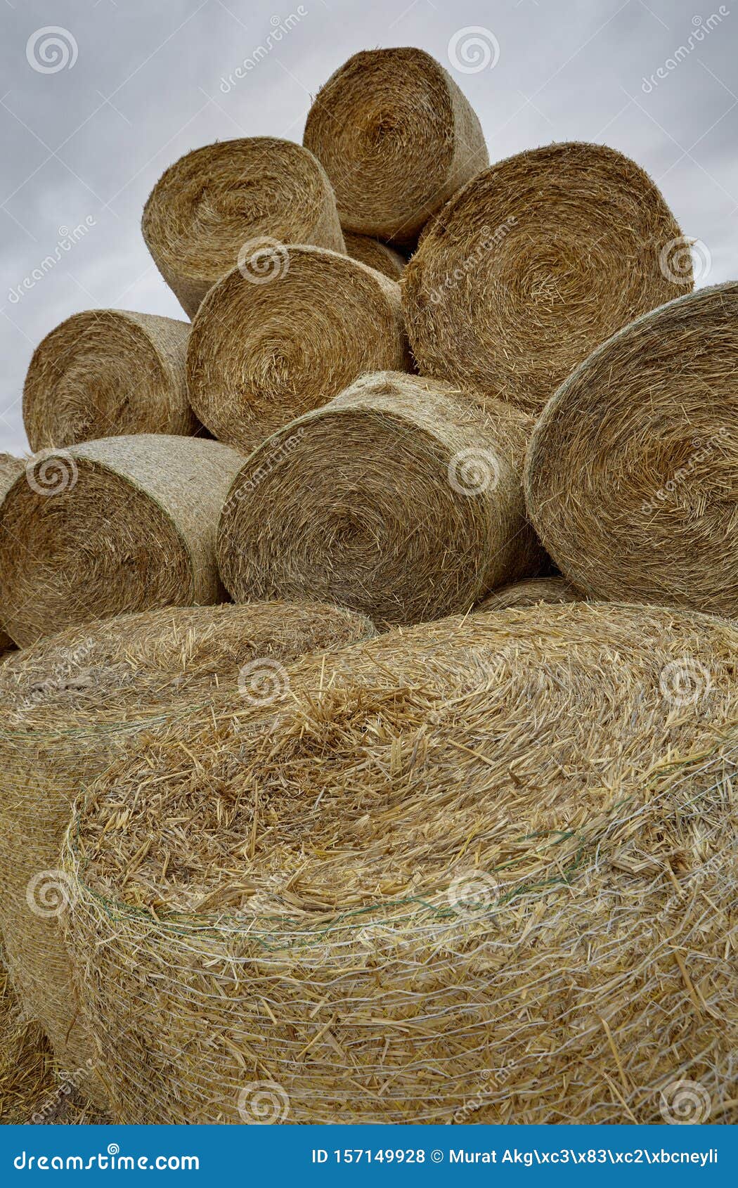 Hay bales in the farm stock photo. Image of farming - 157149928
