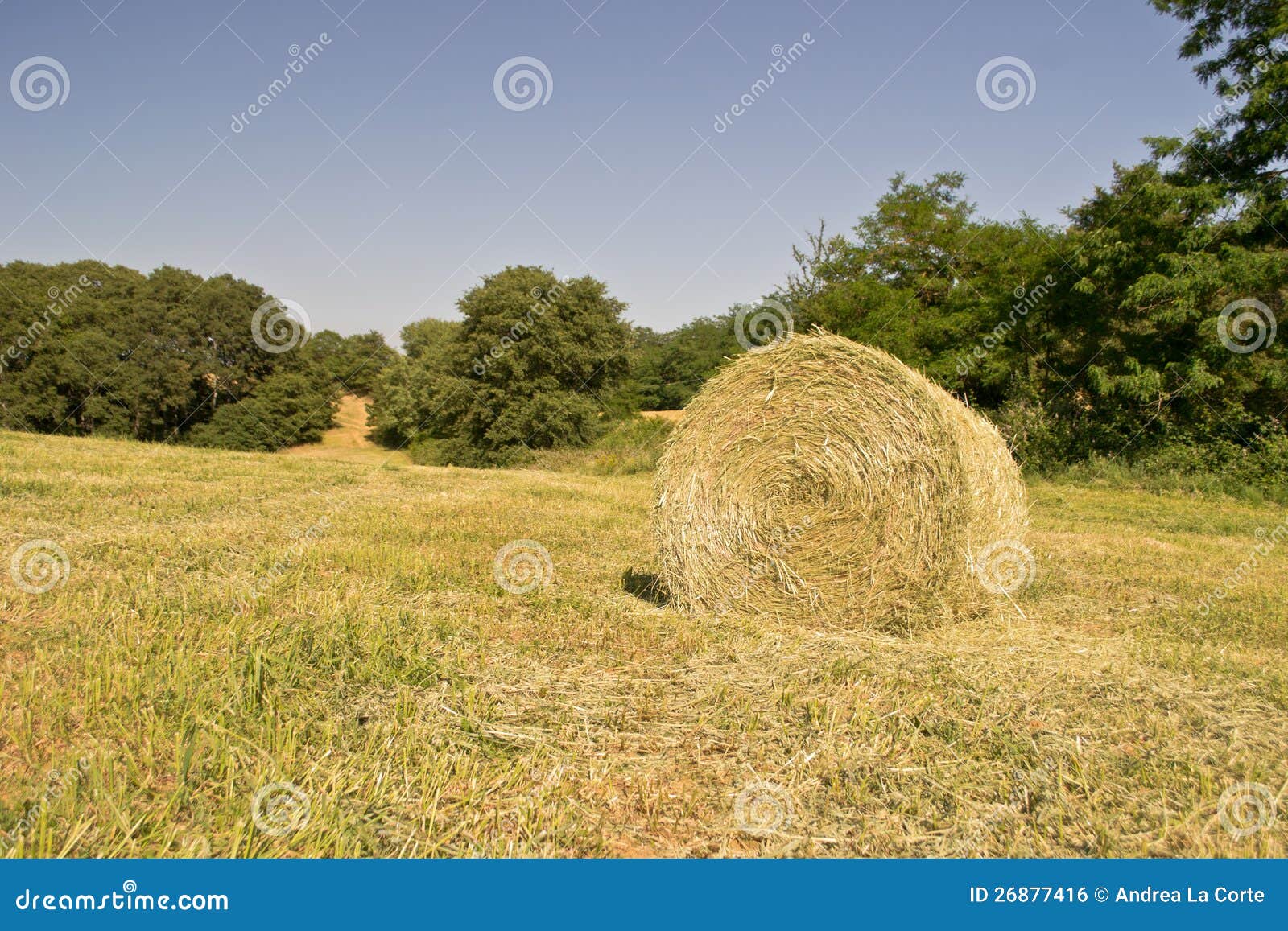 Hay bales in a field stock photo. Image of straw, meadow - 26877416