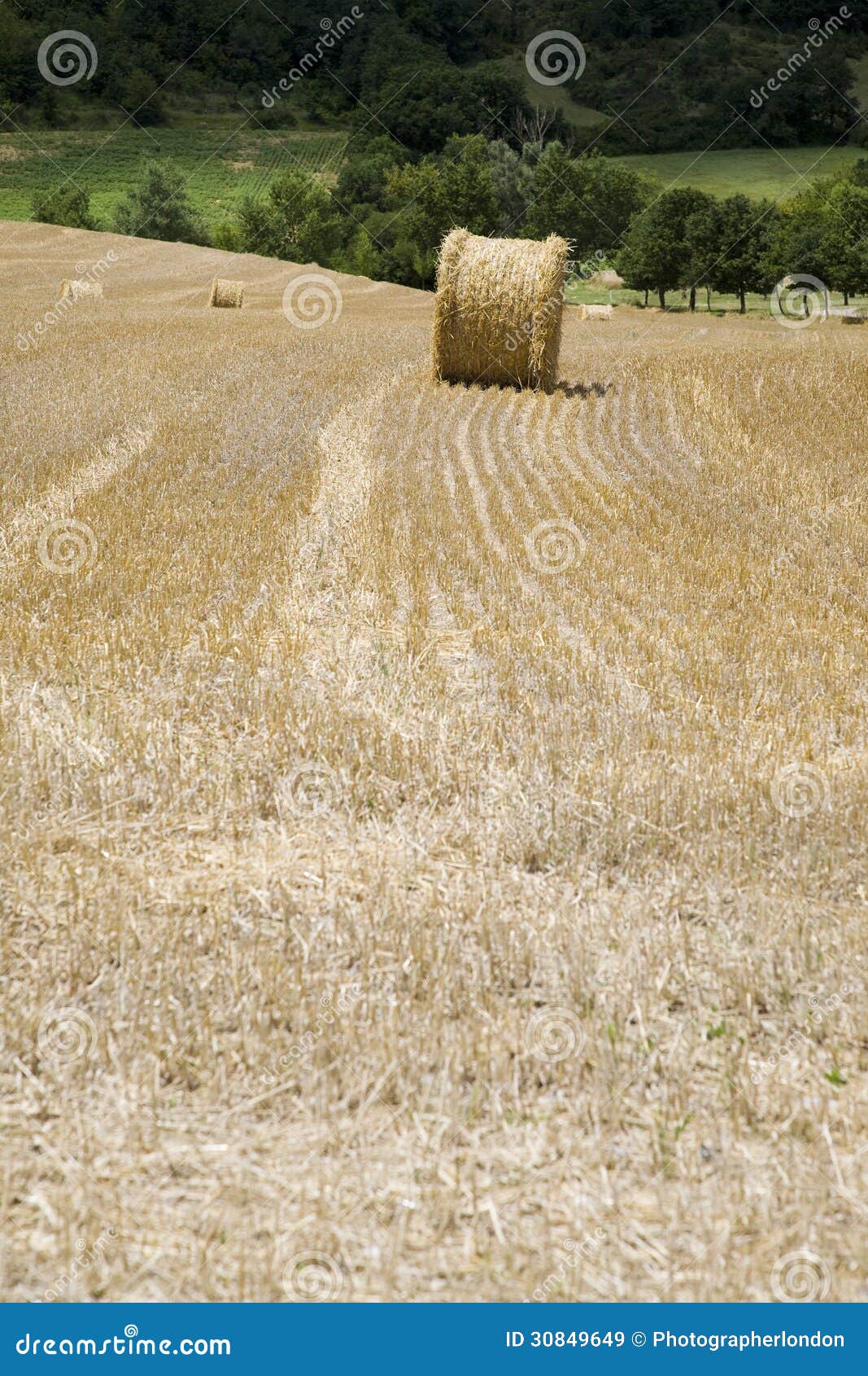 Hay bales in field stock image. Image of agriculture - 30849649