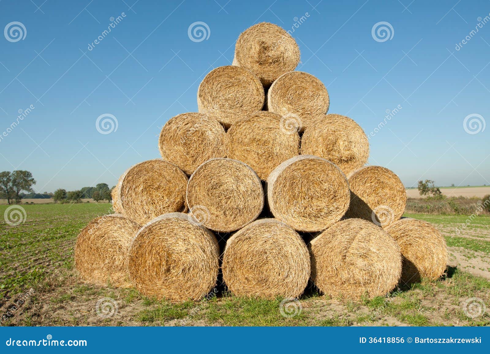 Hay bales stock photo. Image of food, farmer, golden - 36418856