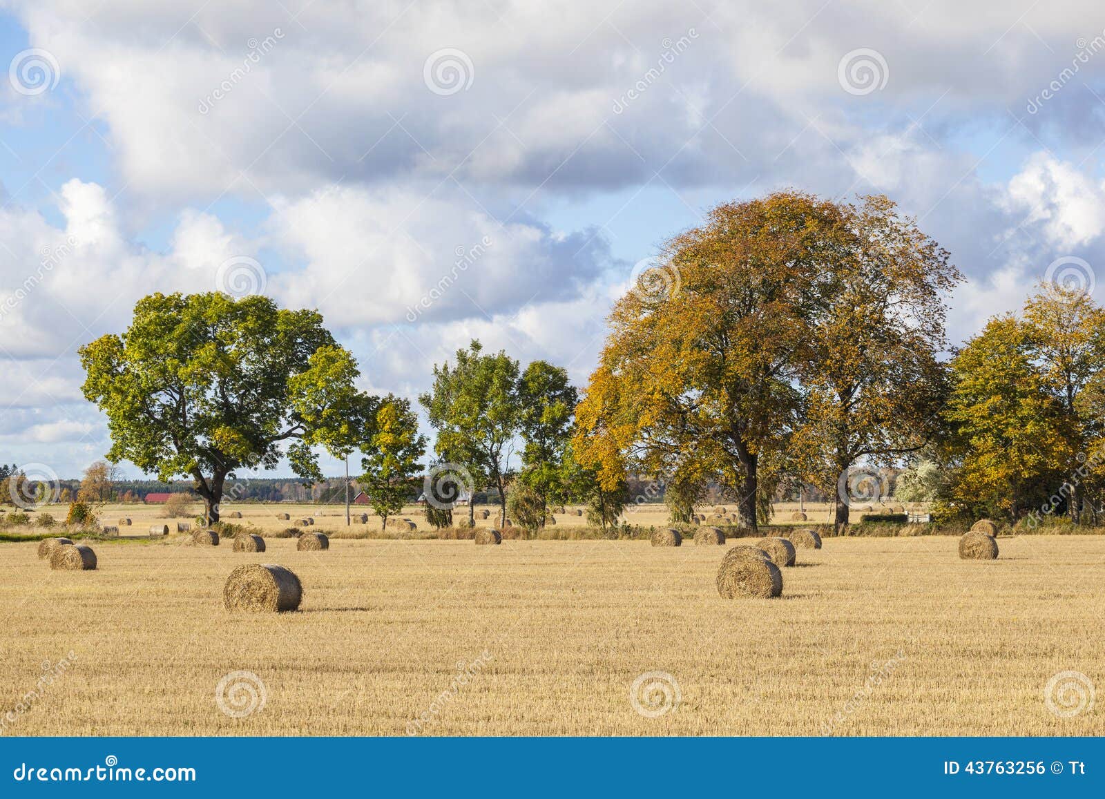 Hay bales stock photo. Image of agriculture, colors, colourful - 43763256