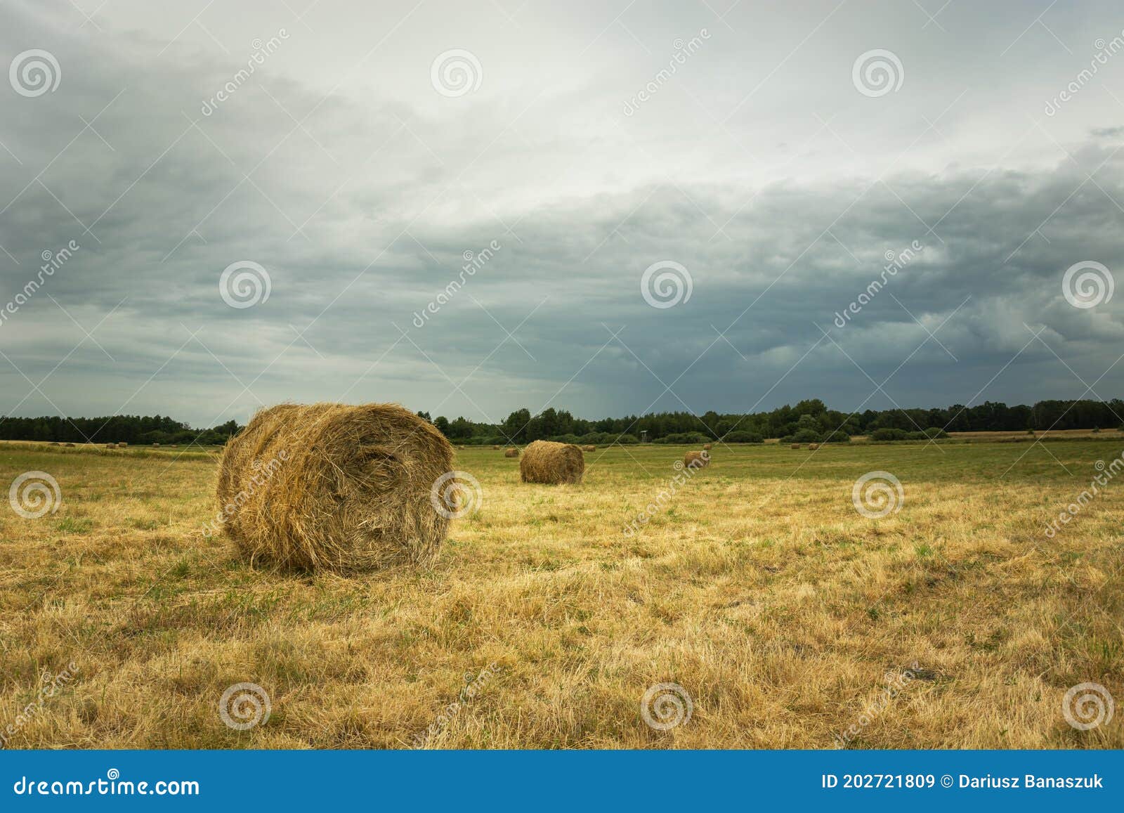 Hay Bales in the Field and the Coming Grey Rain Clouds Stock Image ...