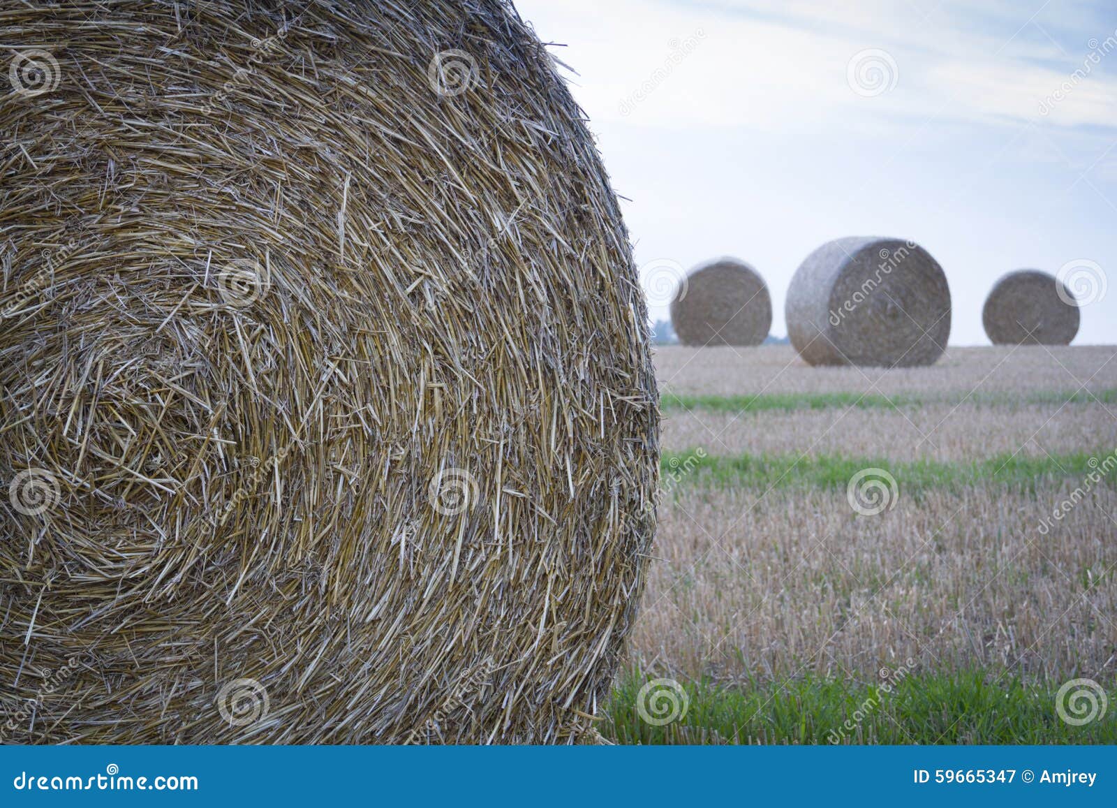 Hay bales in field stock image. Image of english, bales - 59665347