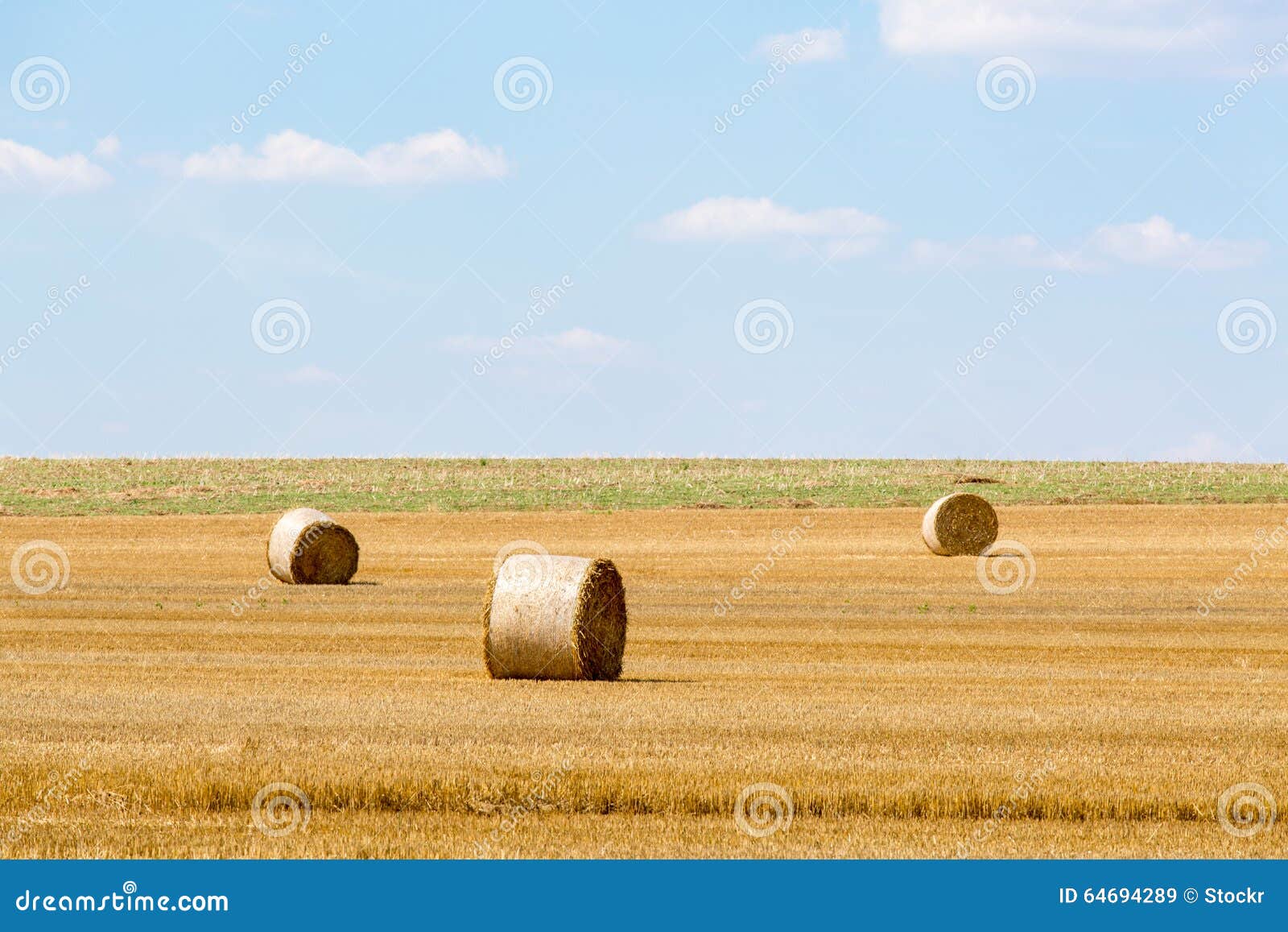 Hay bales on the field stock image. Image of agriculture - 64694289