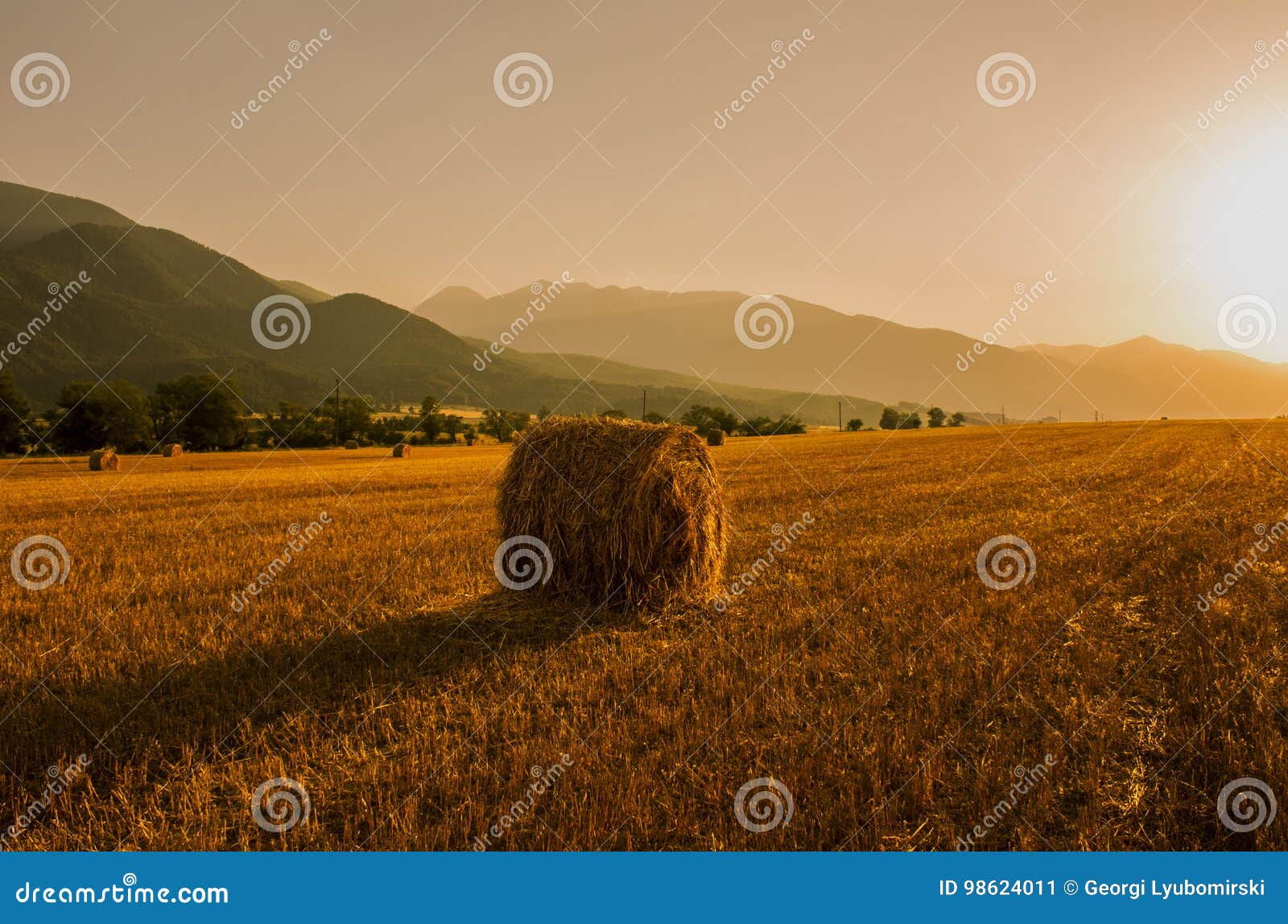 Hay bales field at sunset stock image. Image of summer - 98624011