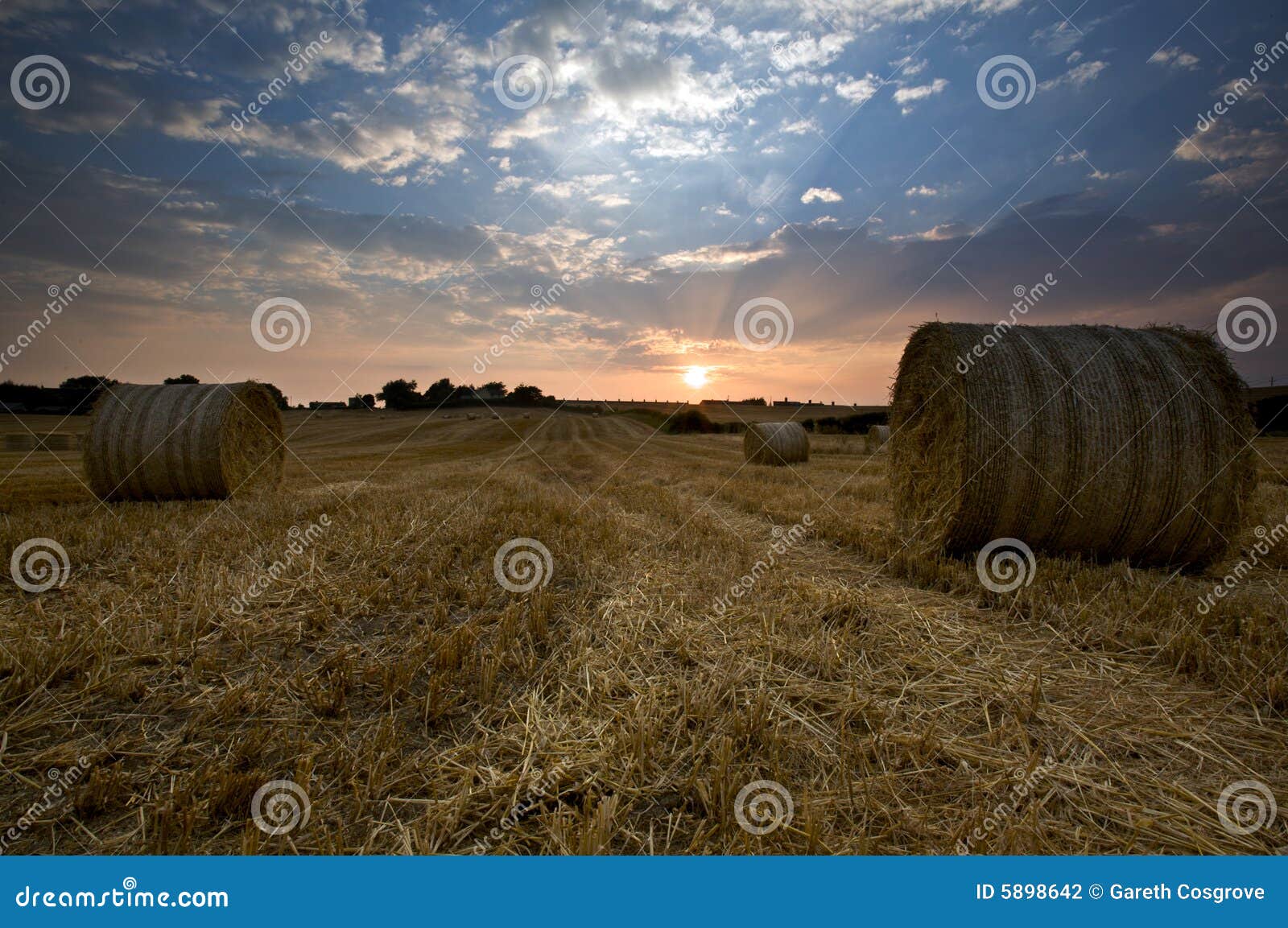 Hay bales in fields stock photo. Image of vast, cloudy - 5898642