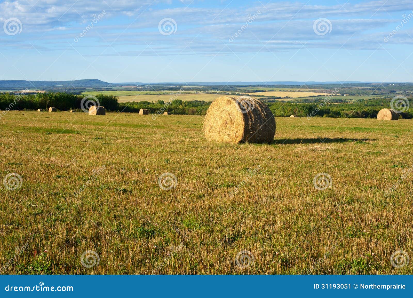 Hay Bales and Fields in Fall Stock Image - Image of grain, morning ...