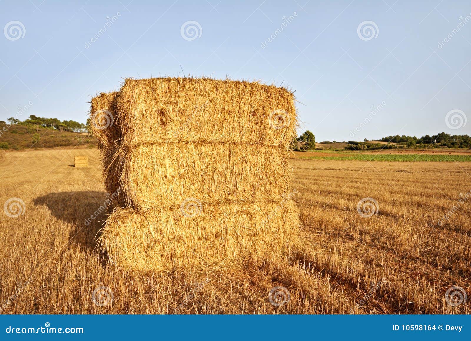 Hay Bales in the Fields from Portugal Stock Photo - Image of bale ...