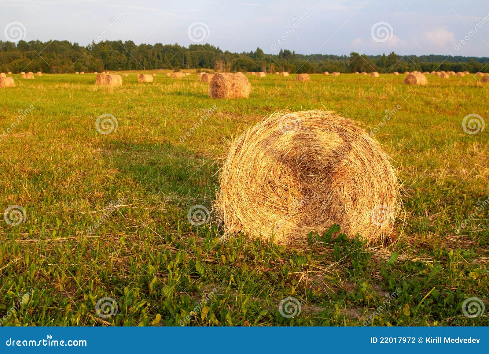 Hay Bales with girl shadow stock photo. Image of barley - 22017972
