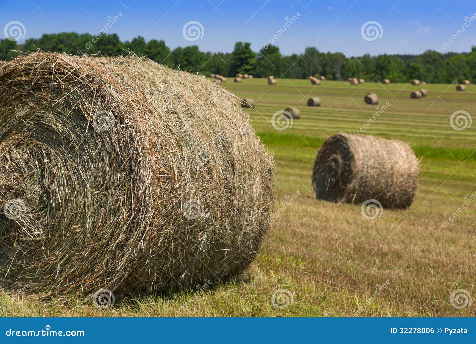 Hay bales stock photo. Image of scenic, farming, blue - 32278006