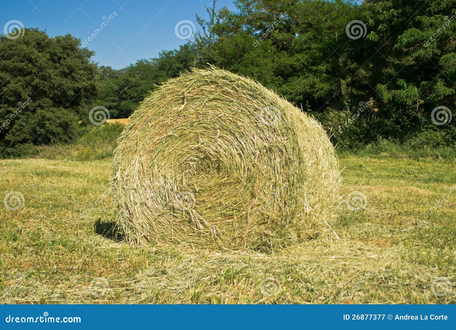 Hay bales in a green field stock image. Image of close - 26877377