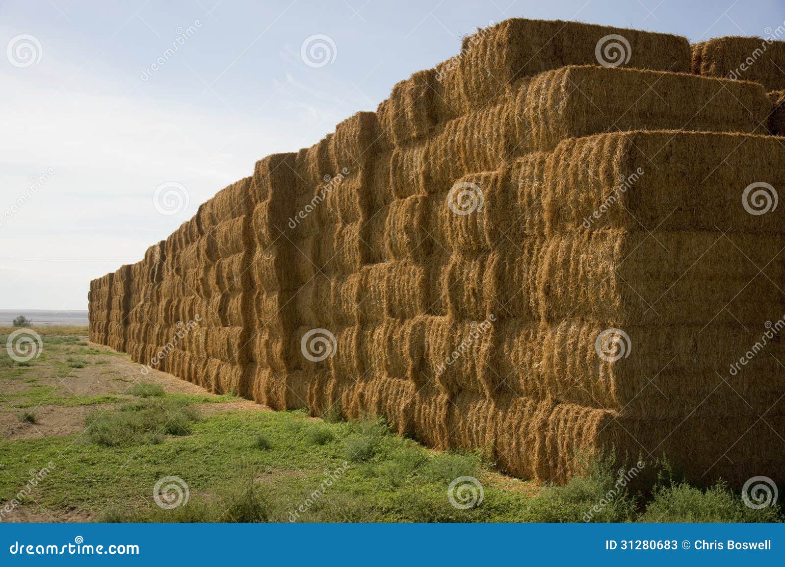 Hay Bales in Huge Stack on Corner of Farmers Field Farm Staple Stock ...