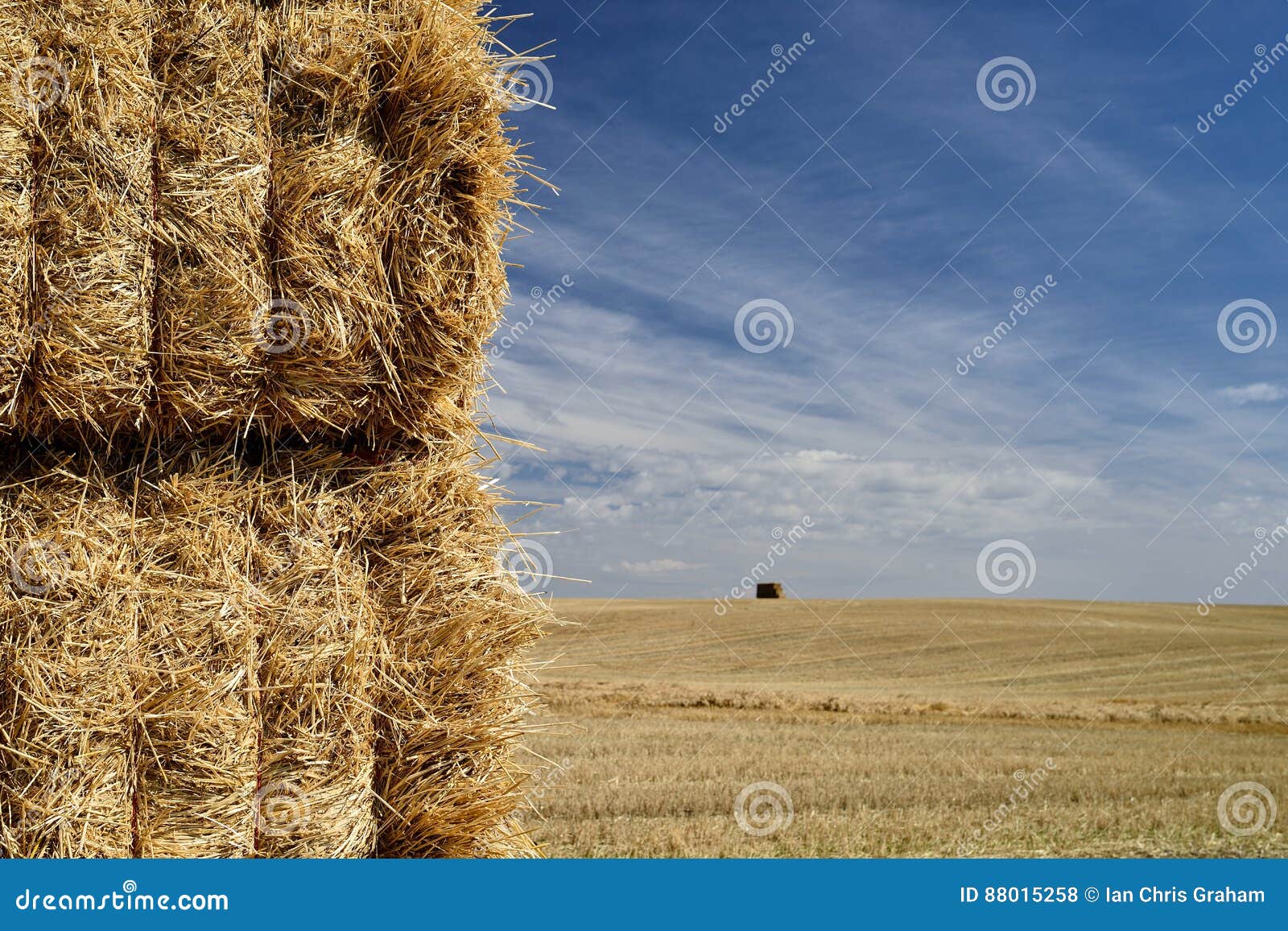 Hay Bales stock photo. Image of rural, scene, crop, farm - 88015258