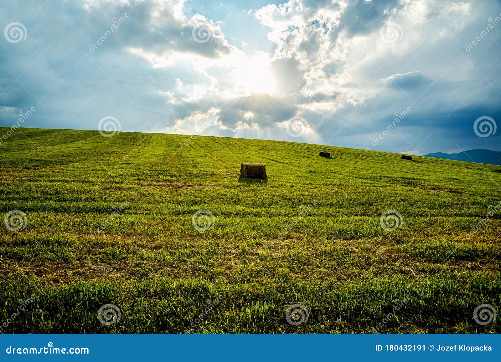 Hay Bales Lay in a Freshly Mowed Field Stock Image - Image of bales ...