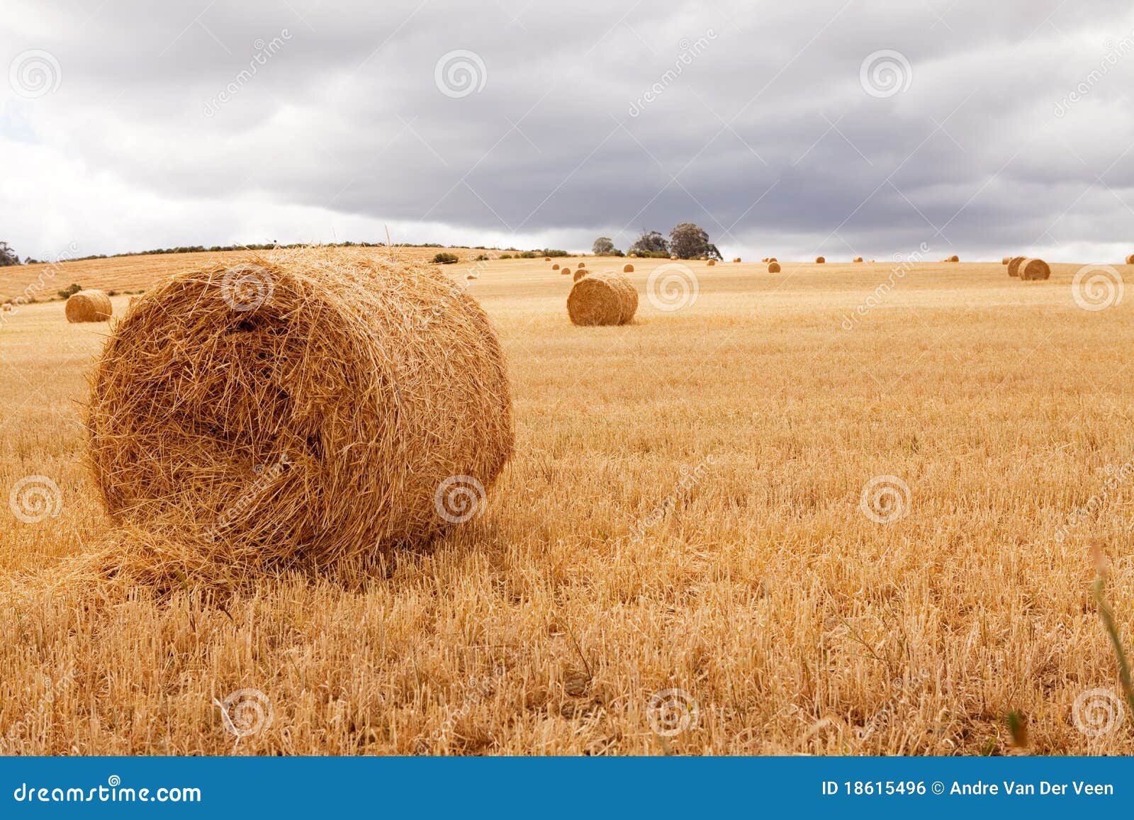 Hay Bales Laying in Field Under Cloudy Skies Stock Photo - Image of ...