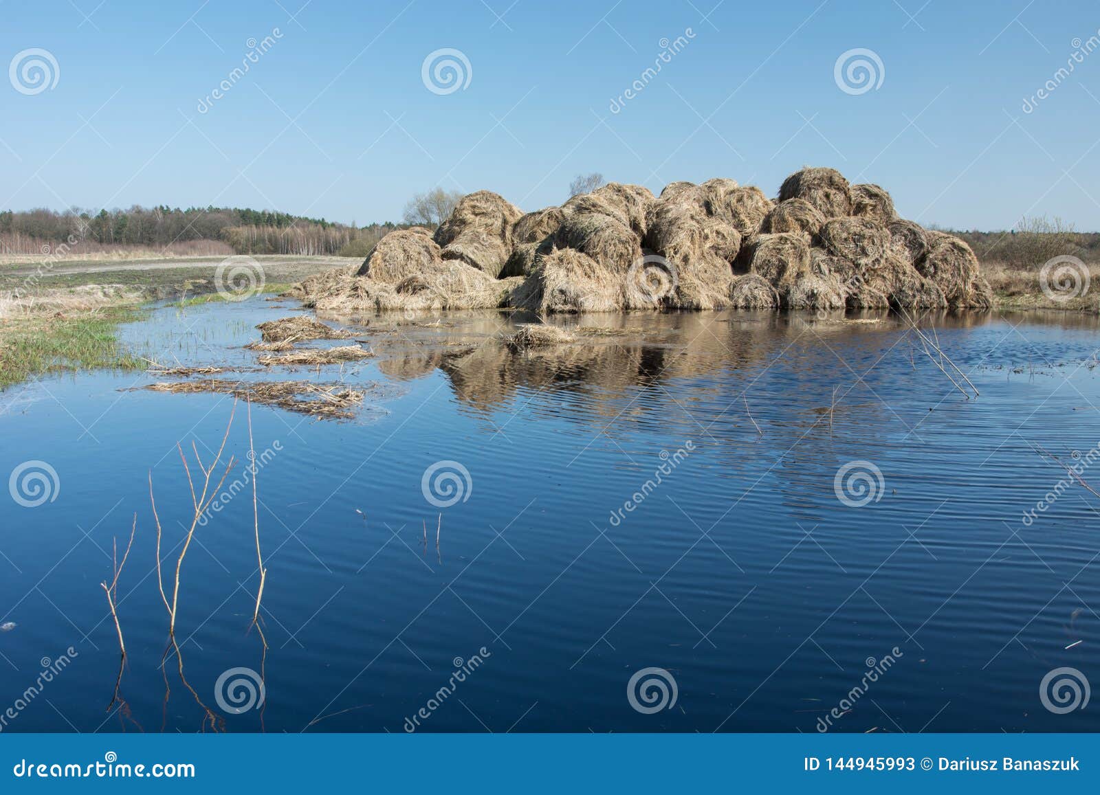 Hay Bales Lying in Blue Water Stock Image - Image of farming, nature ...