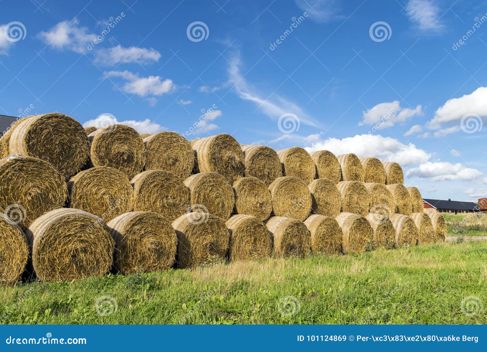 Hay bales stock image. Image of cloud, farm, round, countryside - 101124869