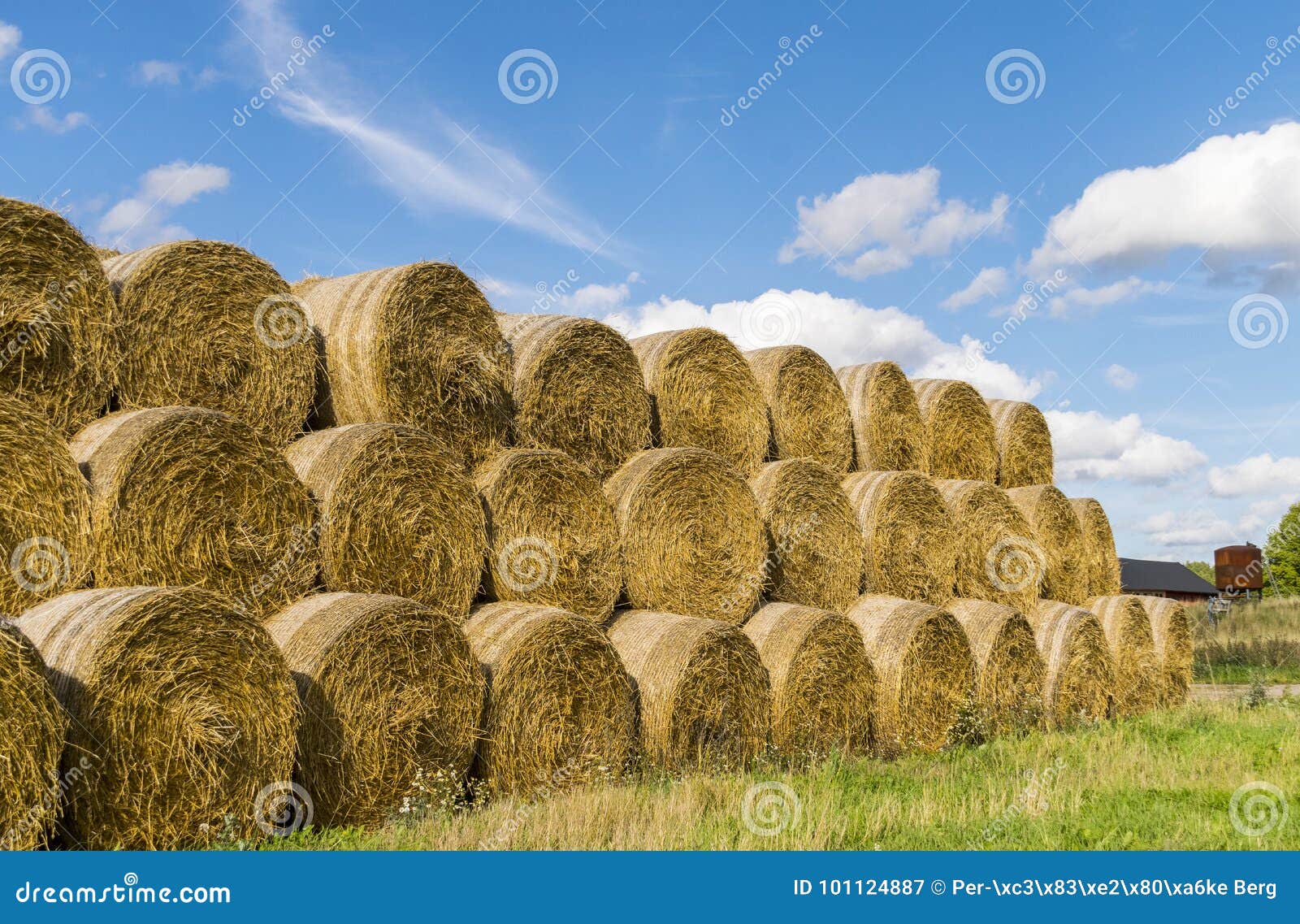 Hay bales stock image. Image of green, round, summer - 101124887