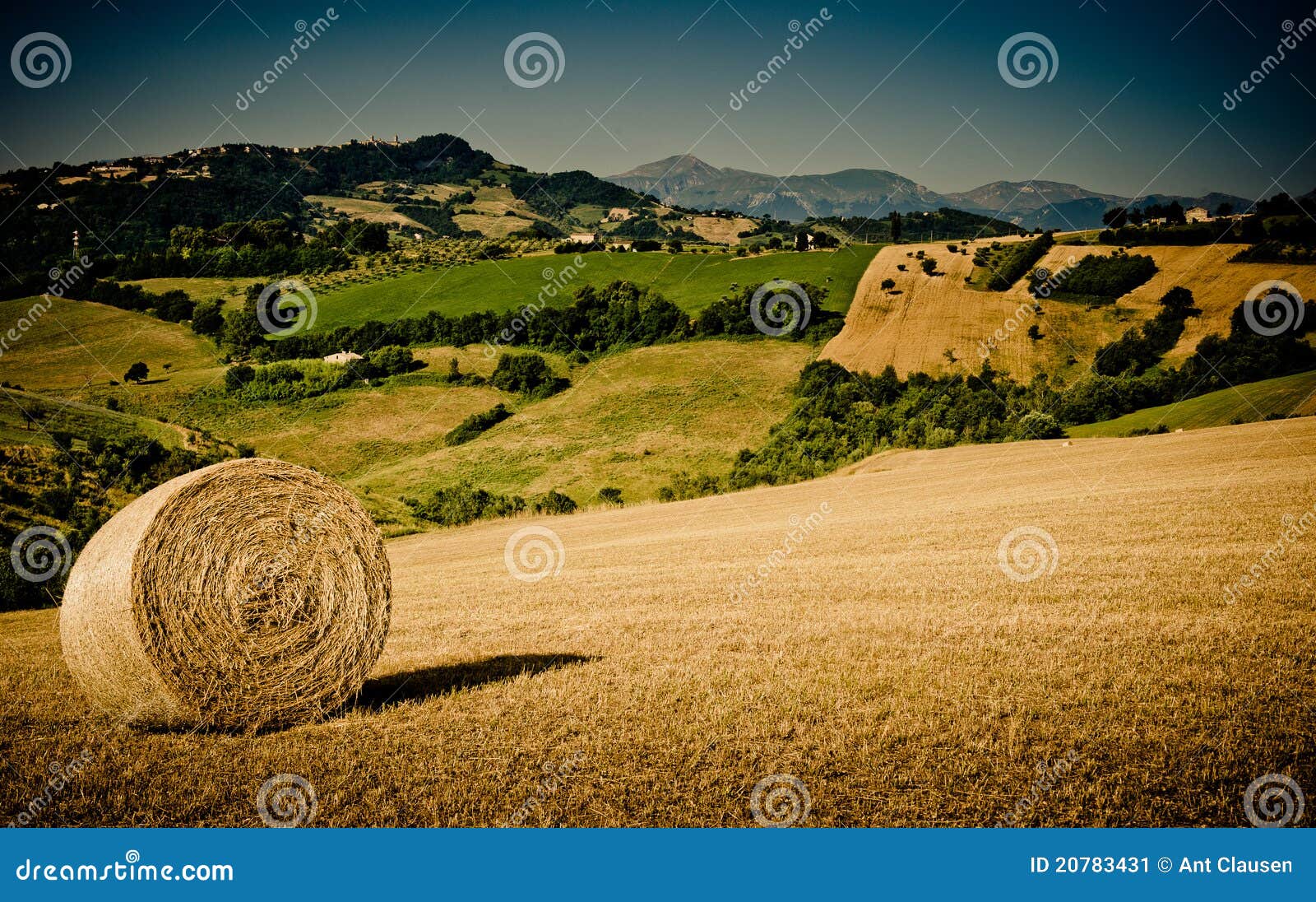 Hay Bales in the Morning Light Stock Image - Image of east, fermi: 20783431