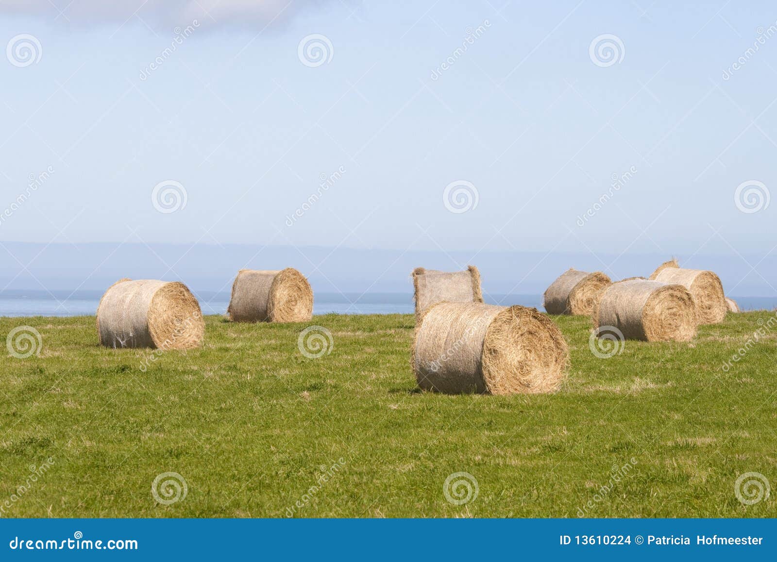 Hay bales near the ocean stock photo. Image of field - 13610224