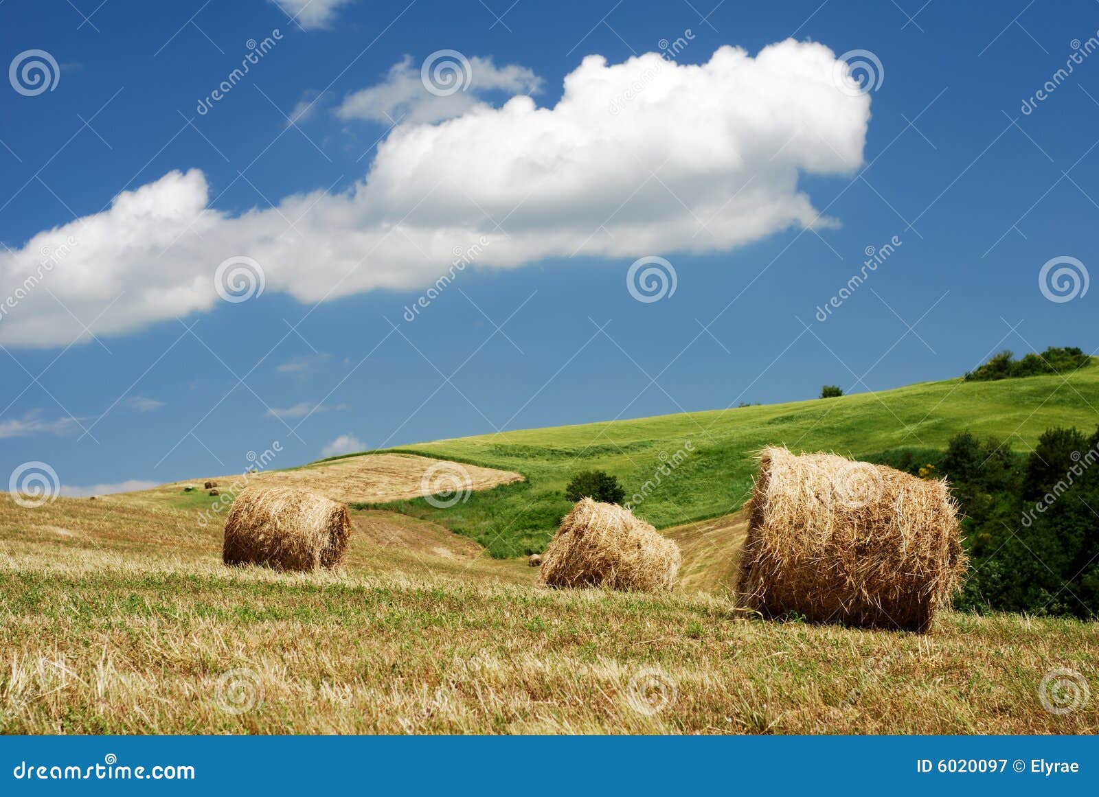 Hay Bales Over the Hillside Stock Image - Image of landscape, field ...