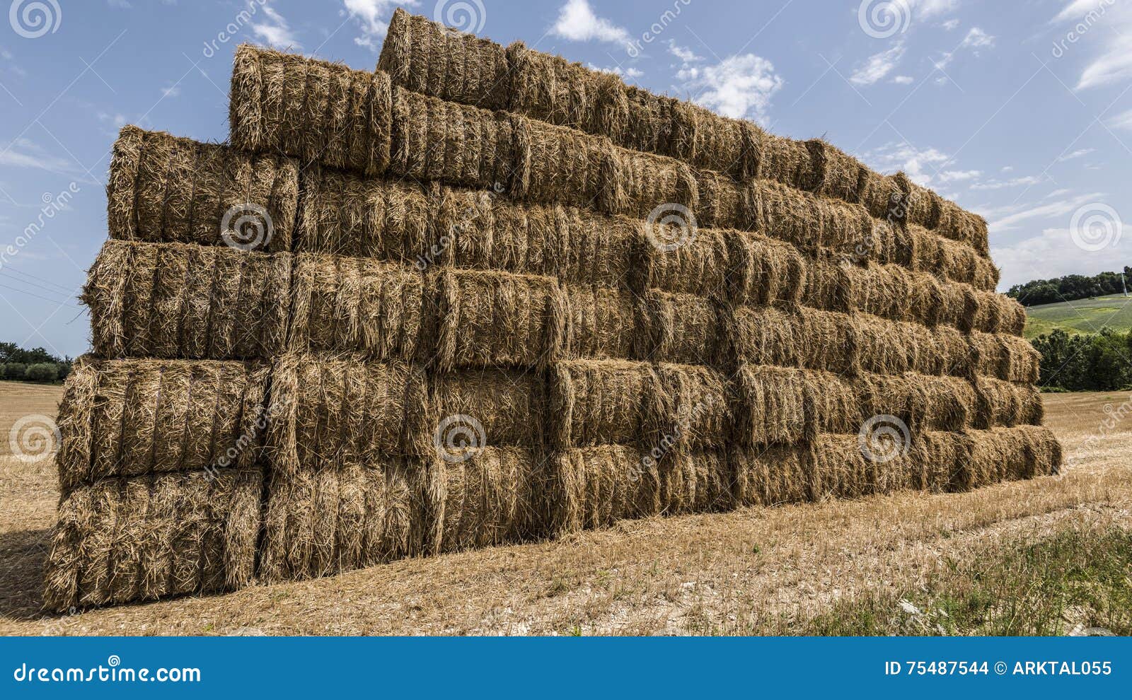 Hay bales pile stock photo. Image of agriculture, harvesting - 75487544
