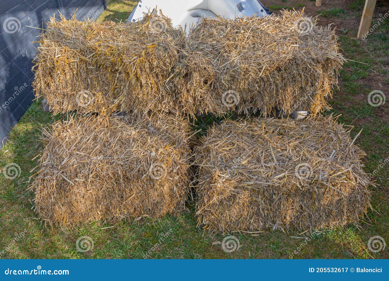 Hay Bales stock image. Image of bale, farming, feed - 205532617