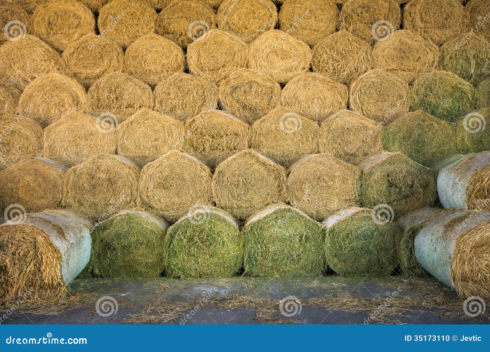 Hay bales stock photo. Image of farmyard, harvest, farming - 35173110