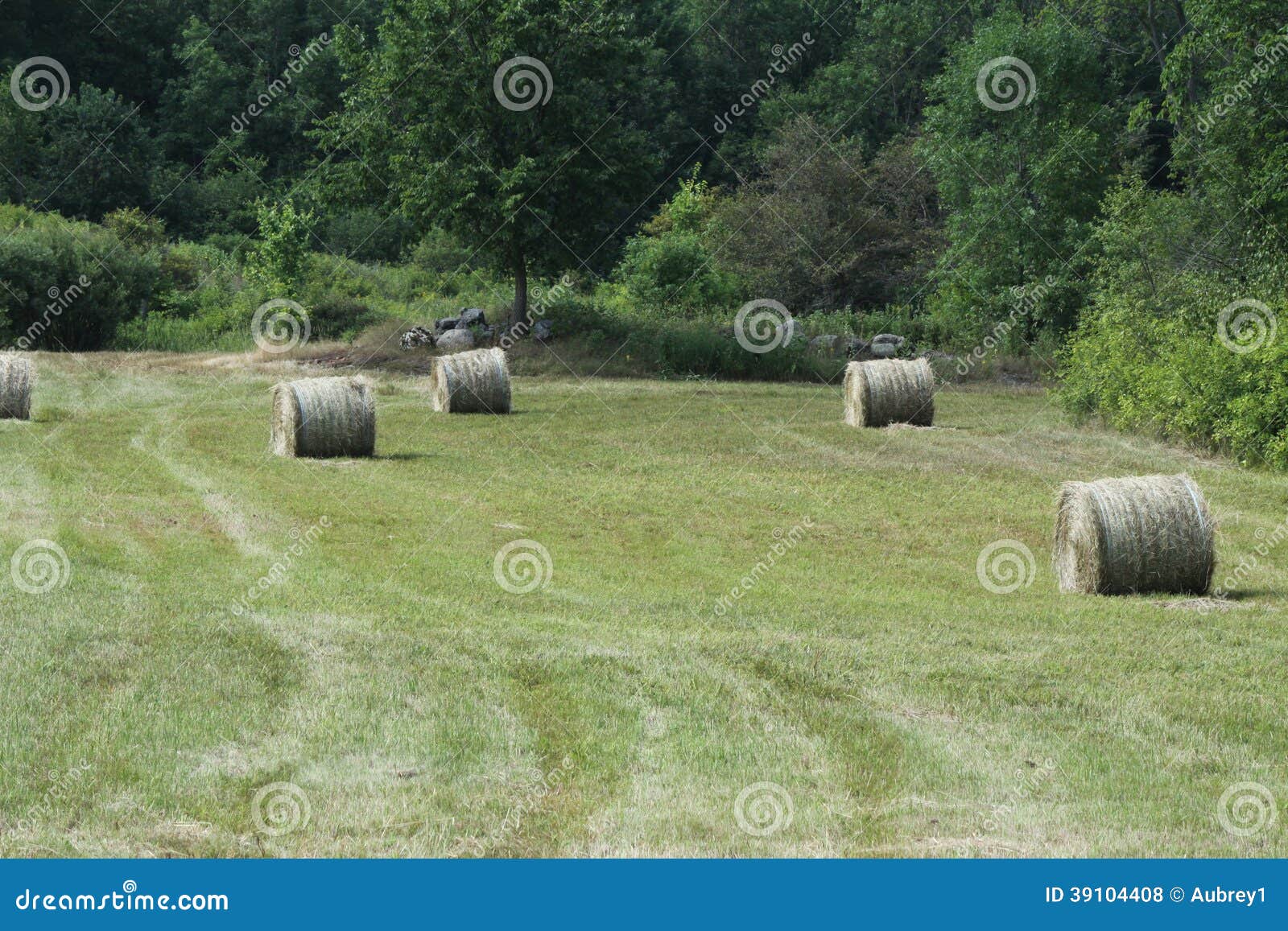Hay Bales (Round) in Field stock photo. Image of gold - 39104408