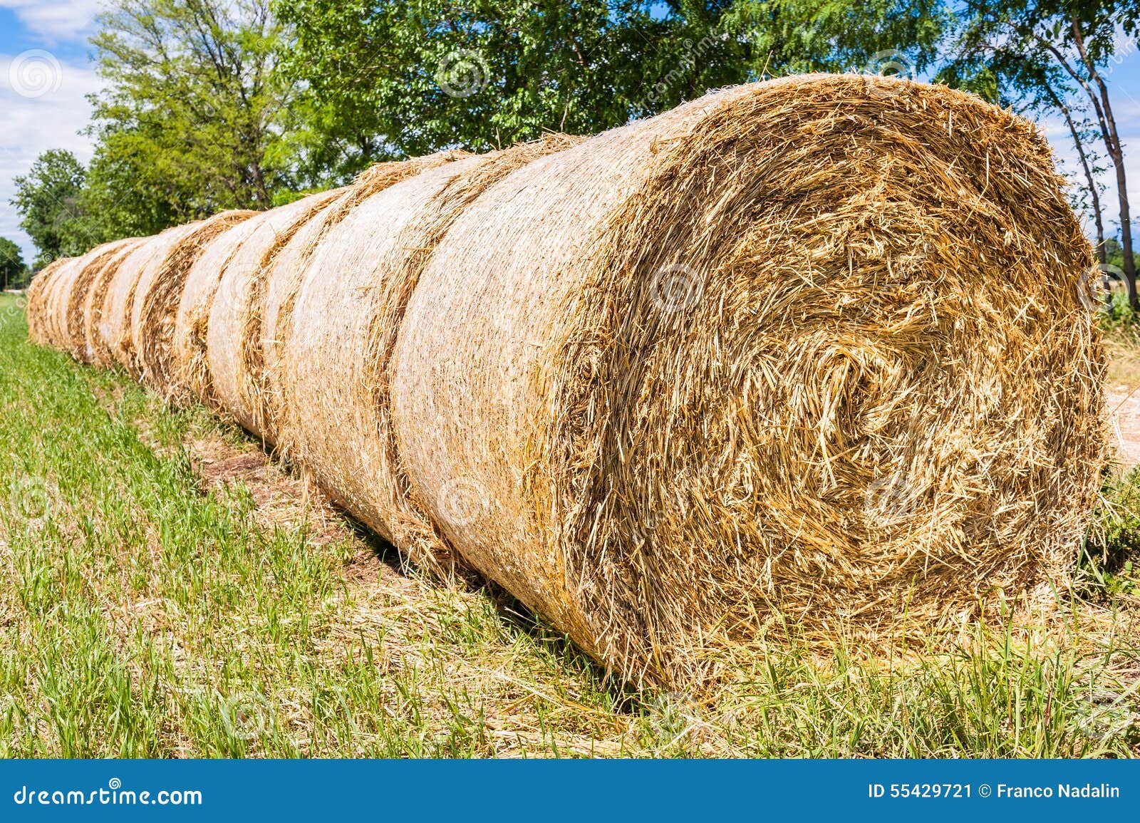 Hay bales in row. stock image. Image of natural, grass - 55429721