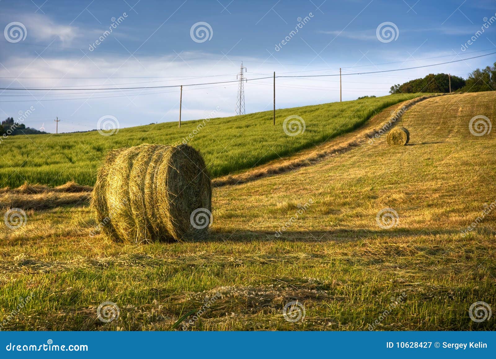 Hay Bales on Rural Landscape Stock Image - Image of nature, grow: 10628427
