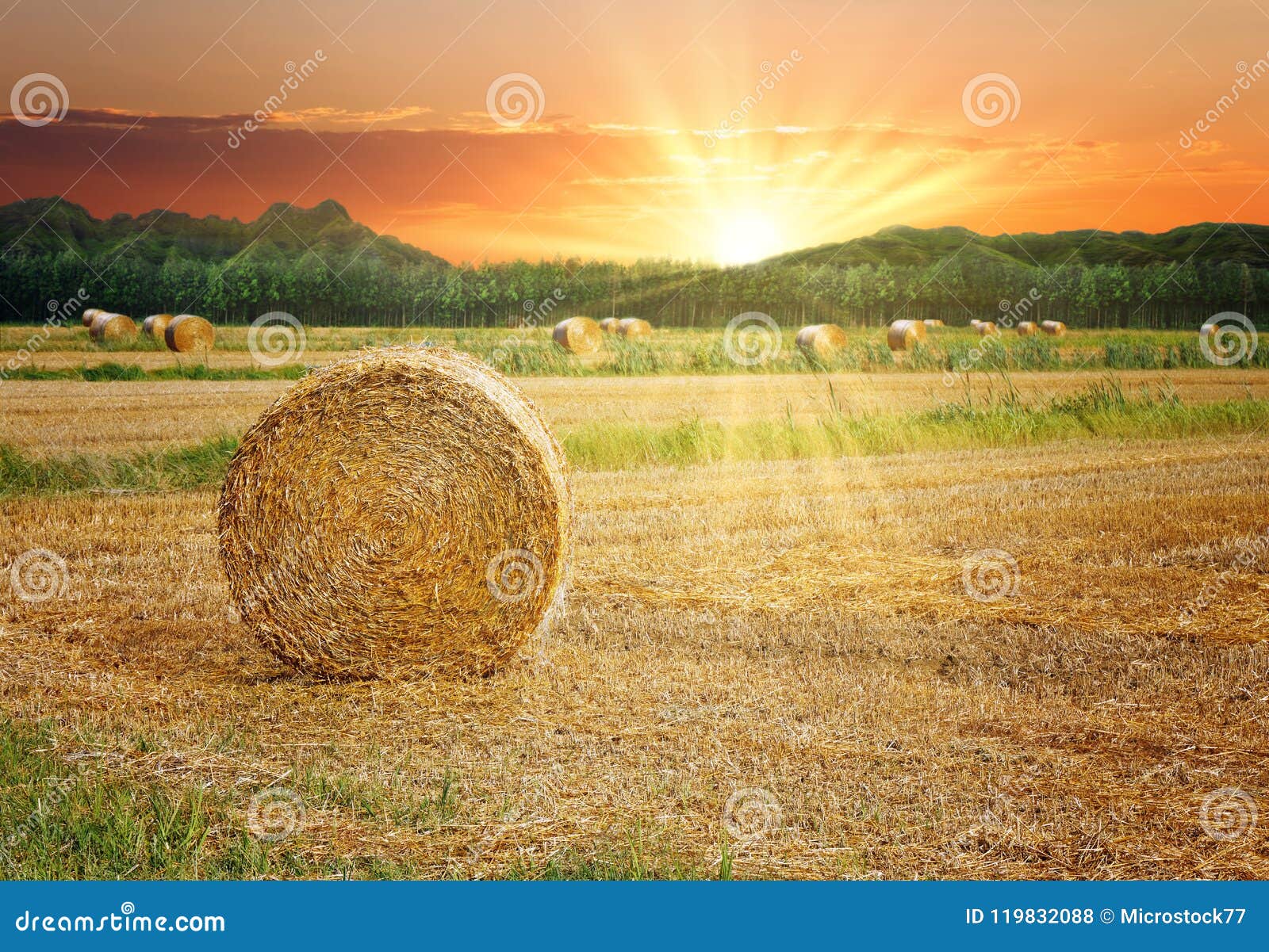 Hay Bales in the Scenic Sunset Stock Photo - Image of harvest, golden ...