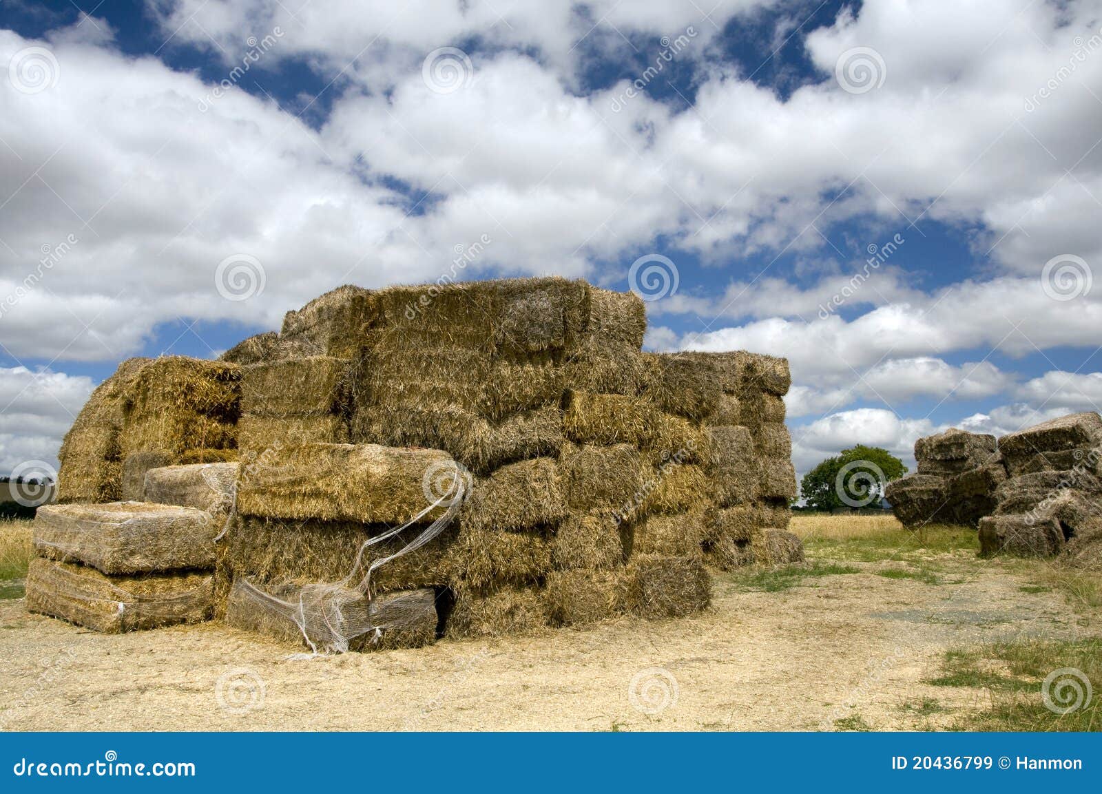 Hay bales stack stock image. Image of corn, agriculture - 20436799