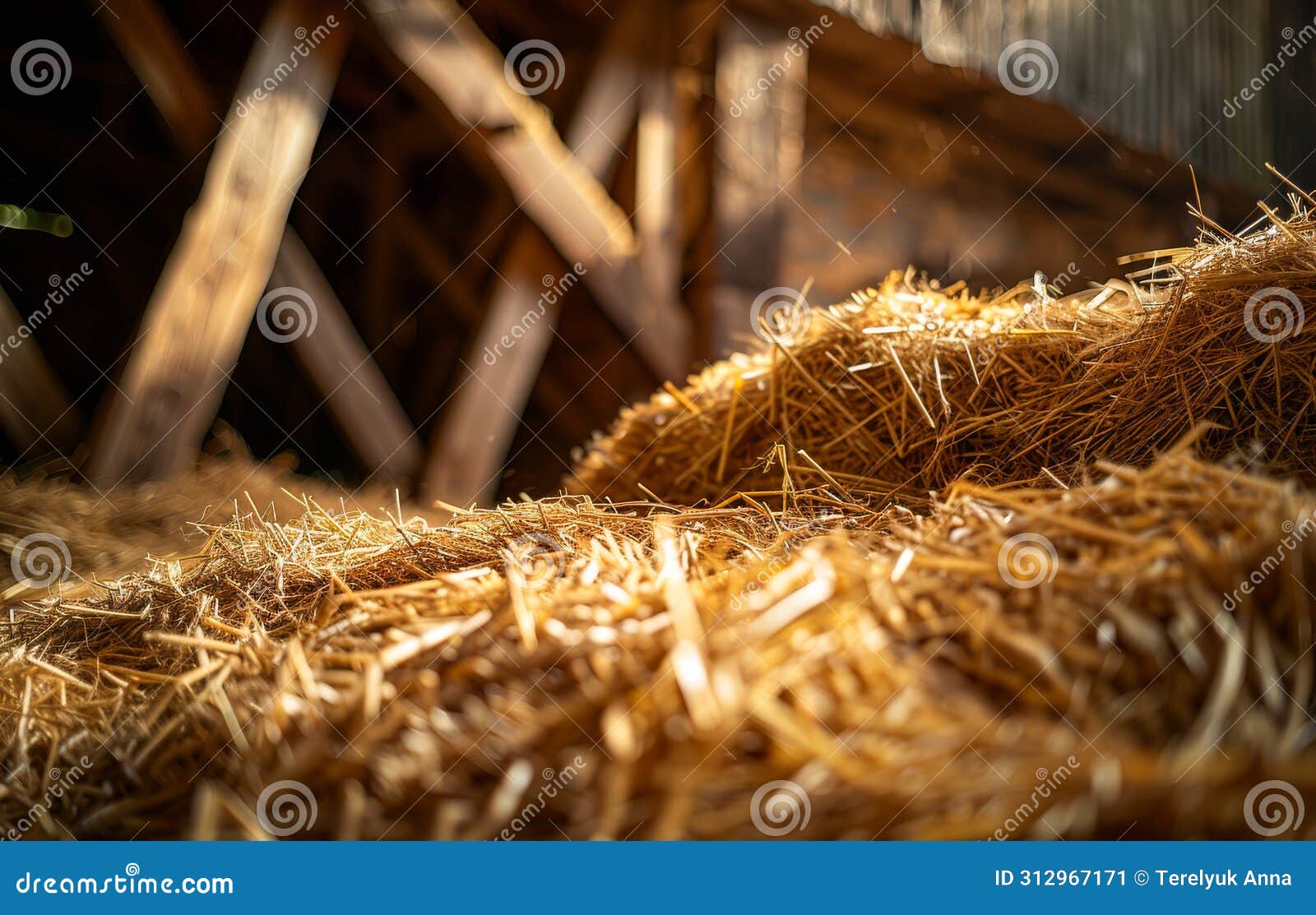 Hay Bales Stacked in Barn. a Pile of Hay in the Barn Stock Image ...