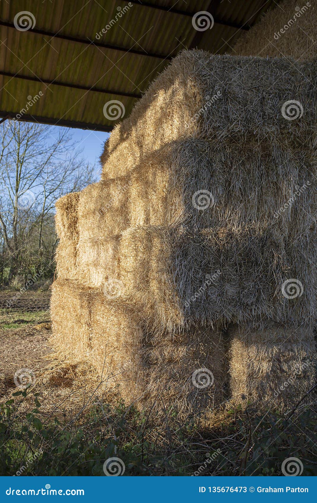 Hay Bales Stacked in Open Barn Stock Image - Image of stable, storage ...