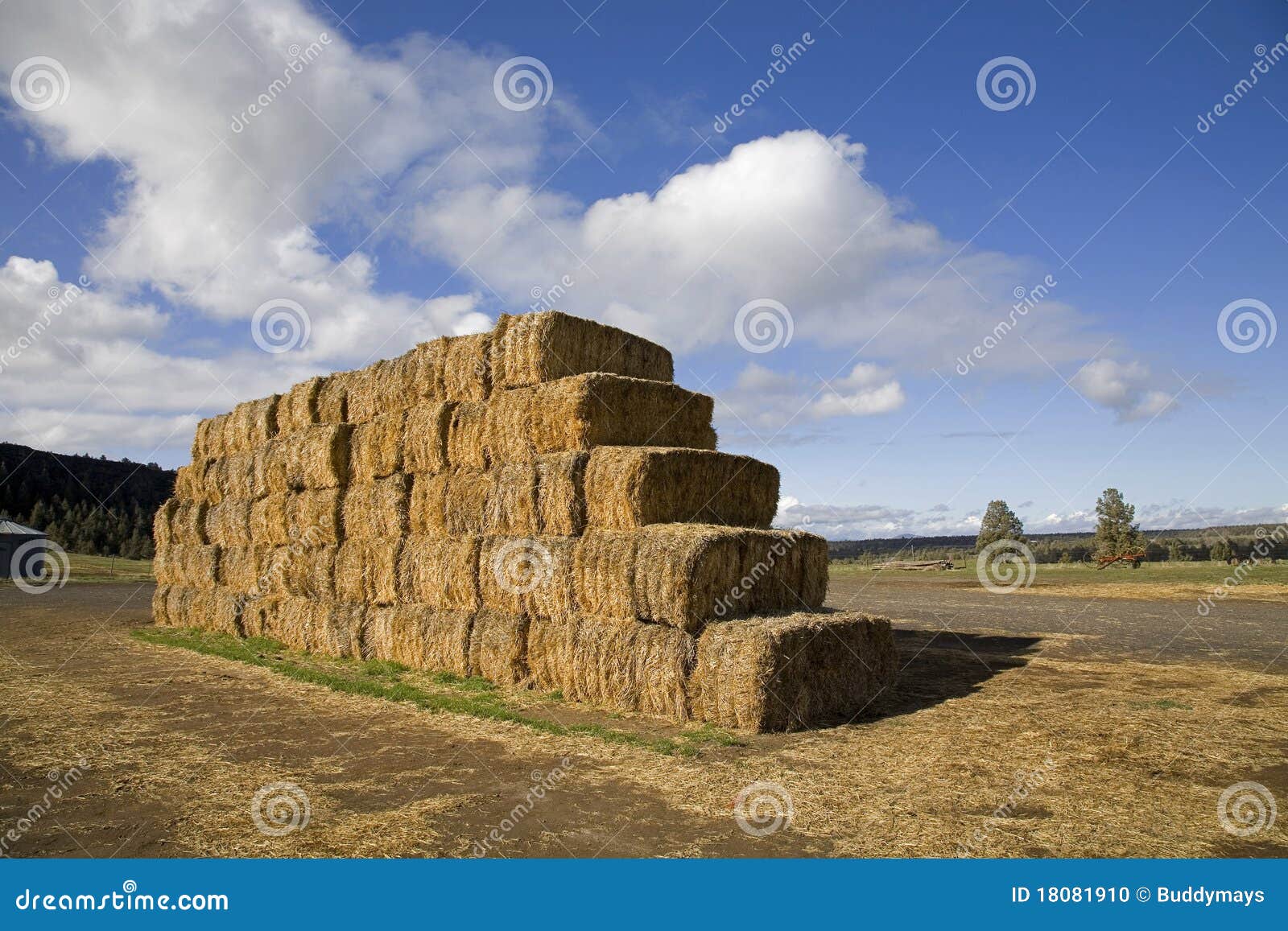 Hay bales stacked up stock photo. Image of beautiful - 18081910