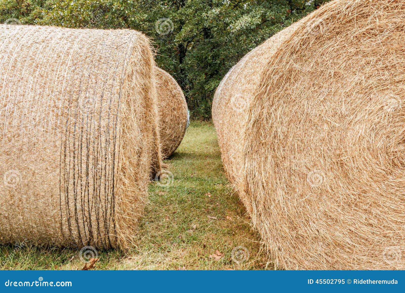 Hay Bales 2 stock image. Image of horizontal, oklahoma - 45502795