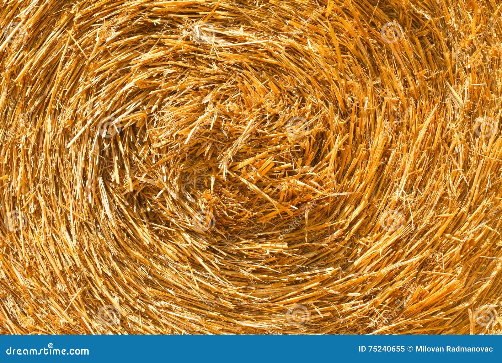 Hay Bales Texture Background Stock Image - Image of nature, decorative ...